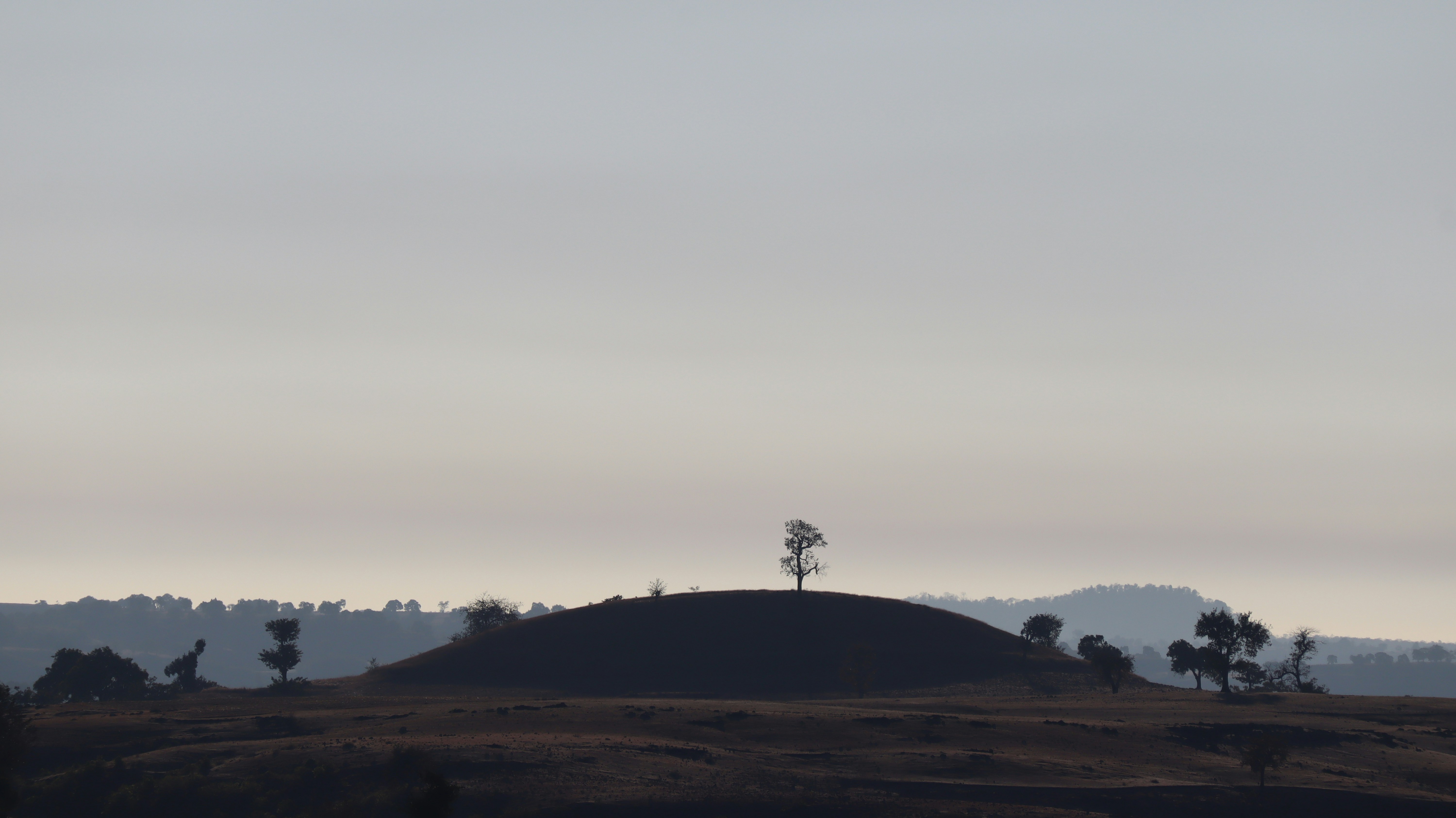 Solitary Sentinel on the Horizon