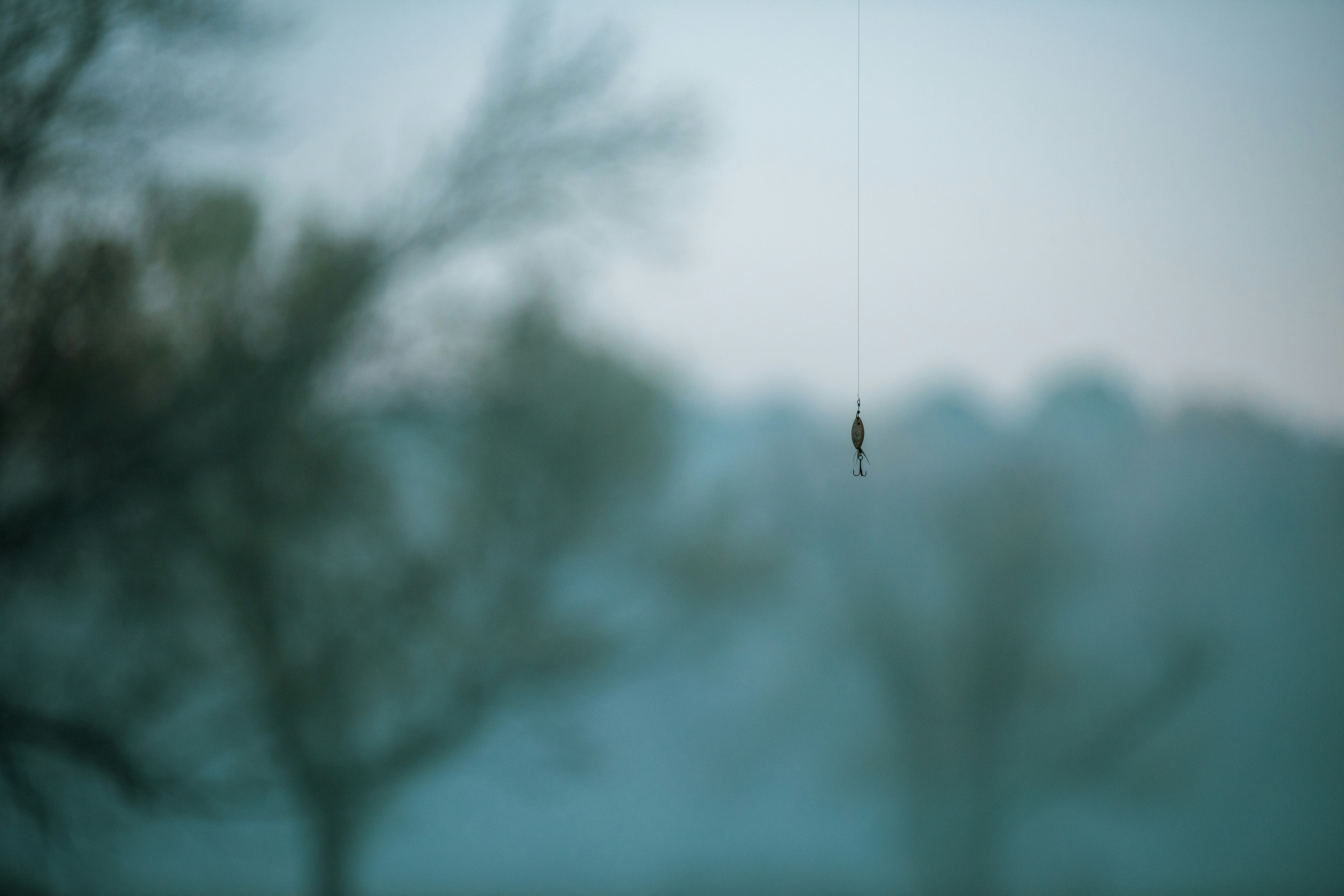 A blurry photo of a bird hanging from a string photo – Free Fishing ...