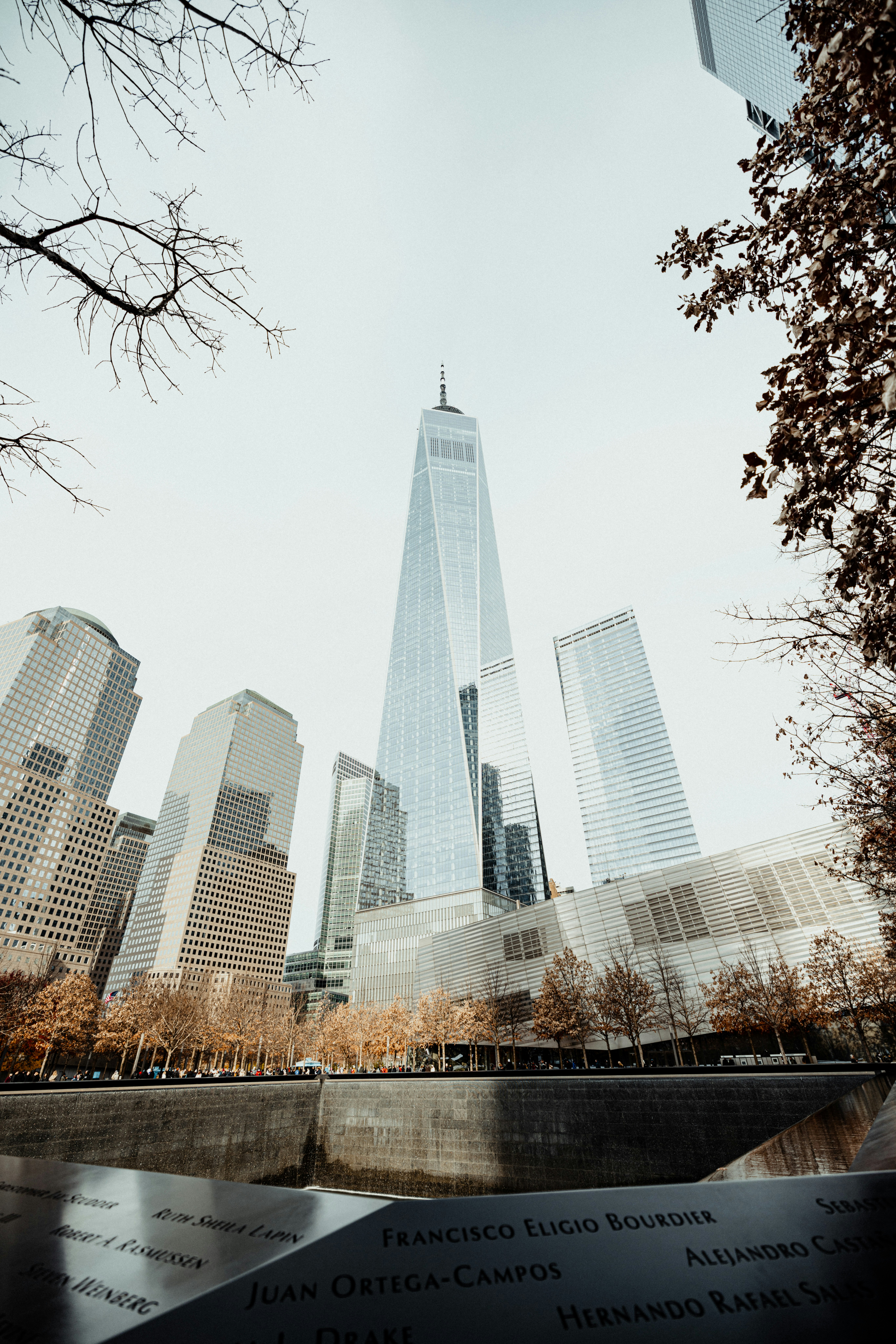 Rising Glass: The Freedom Tower Among City Silhouettes