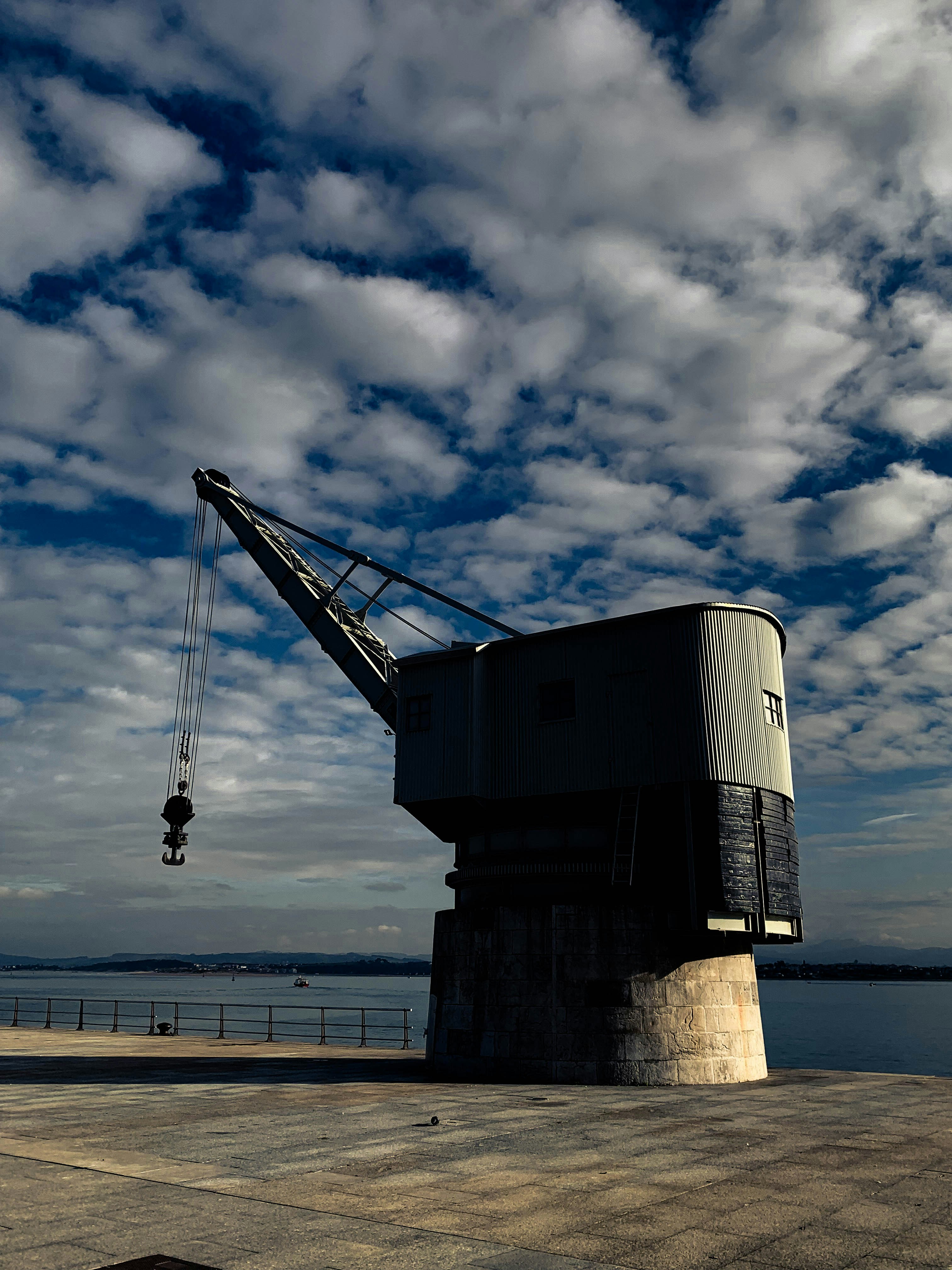 Harbor Sentinel: A Crane Beside the Quiet Horizon