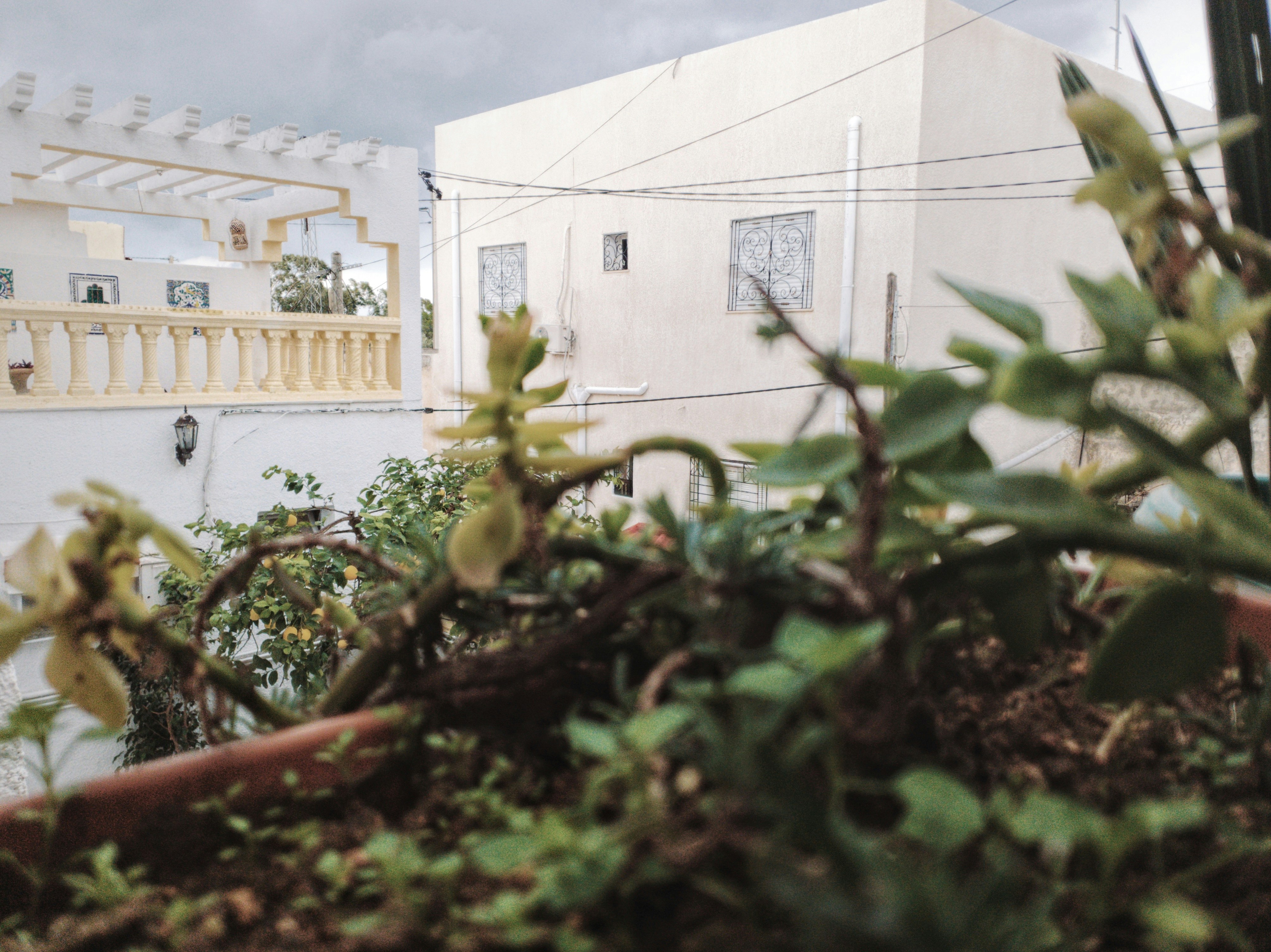 Photo by Bilal Ayadi with Samsung Galaxy S9 Plus