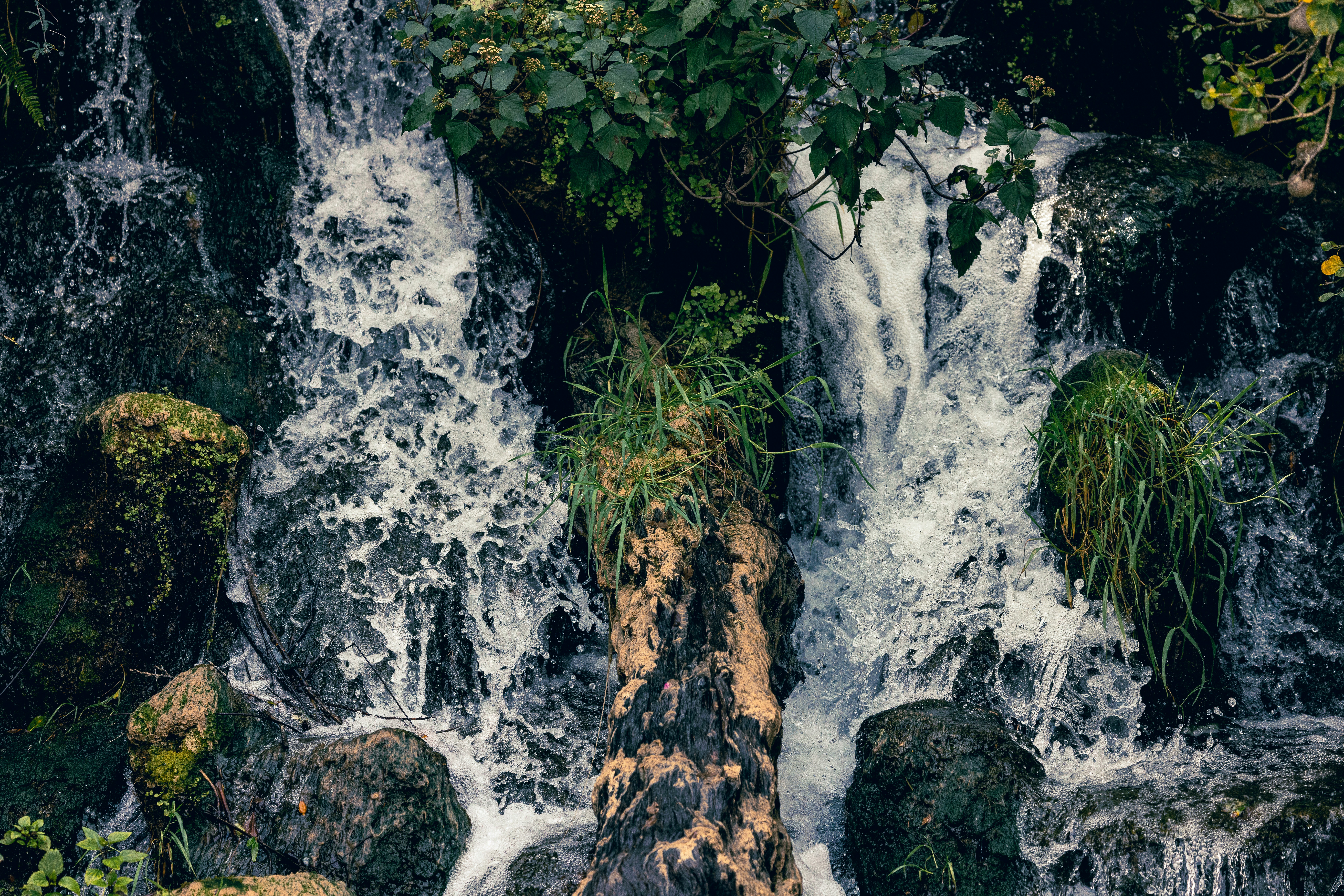Water flowing over rocks adorned with lush green foliage.