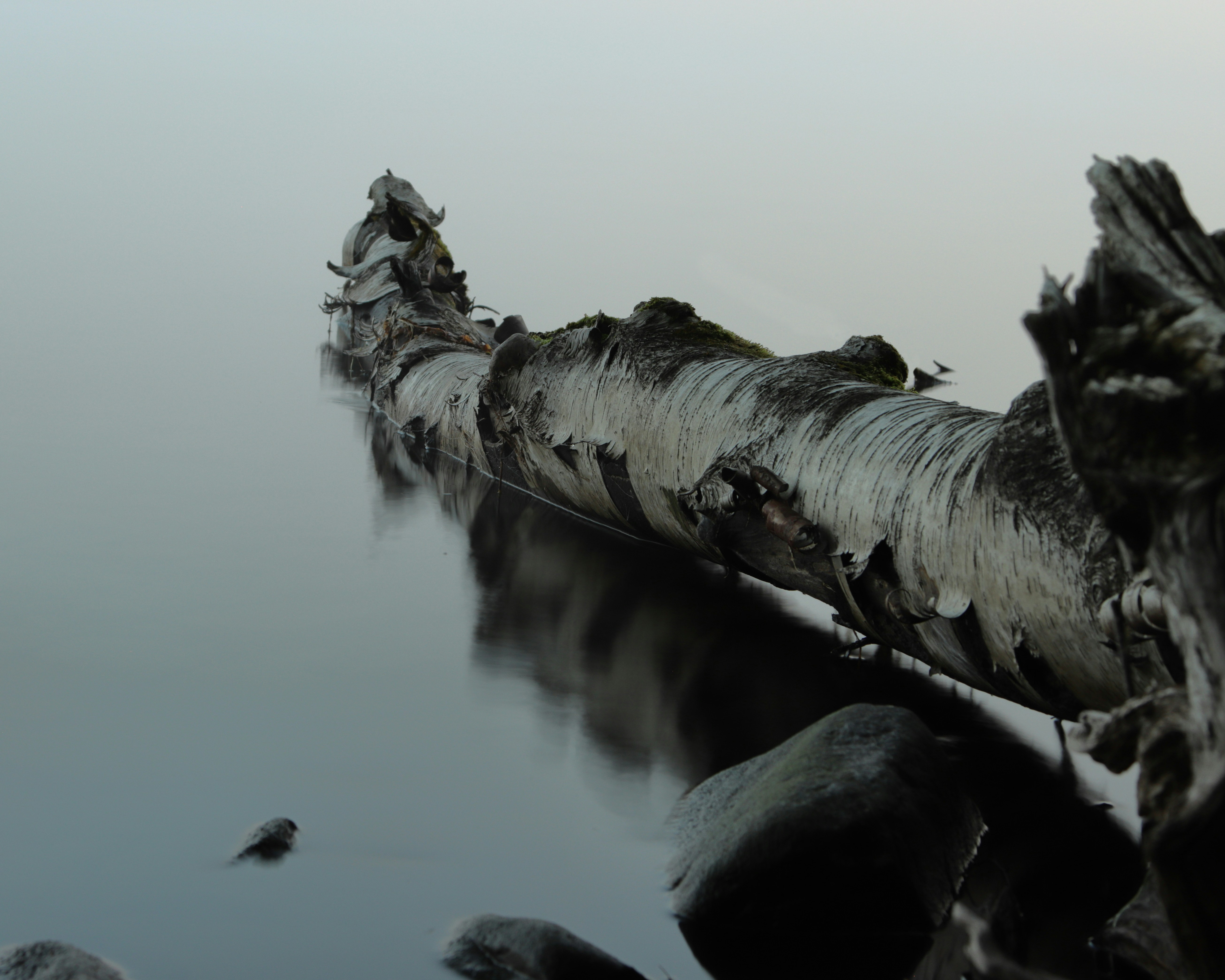 Diagonal Echo Across a Glassy Lake: Weathered Log