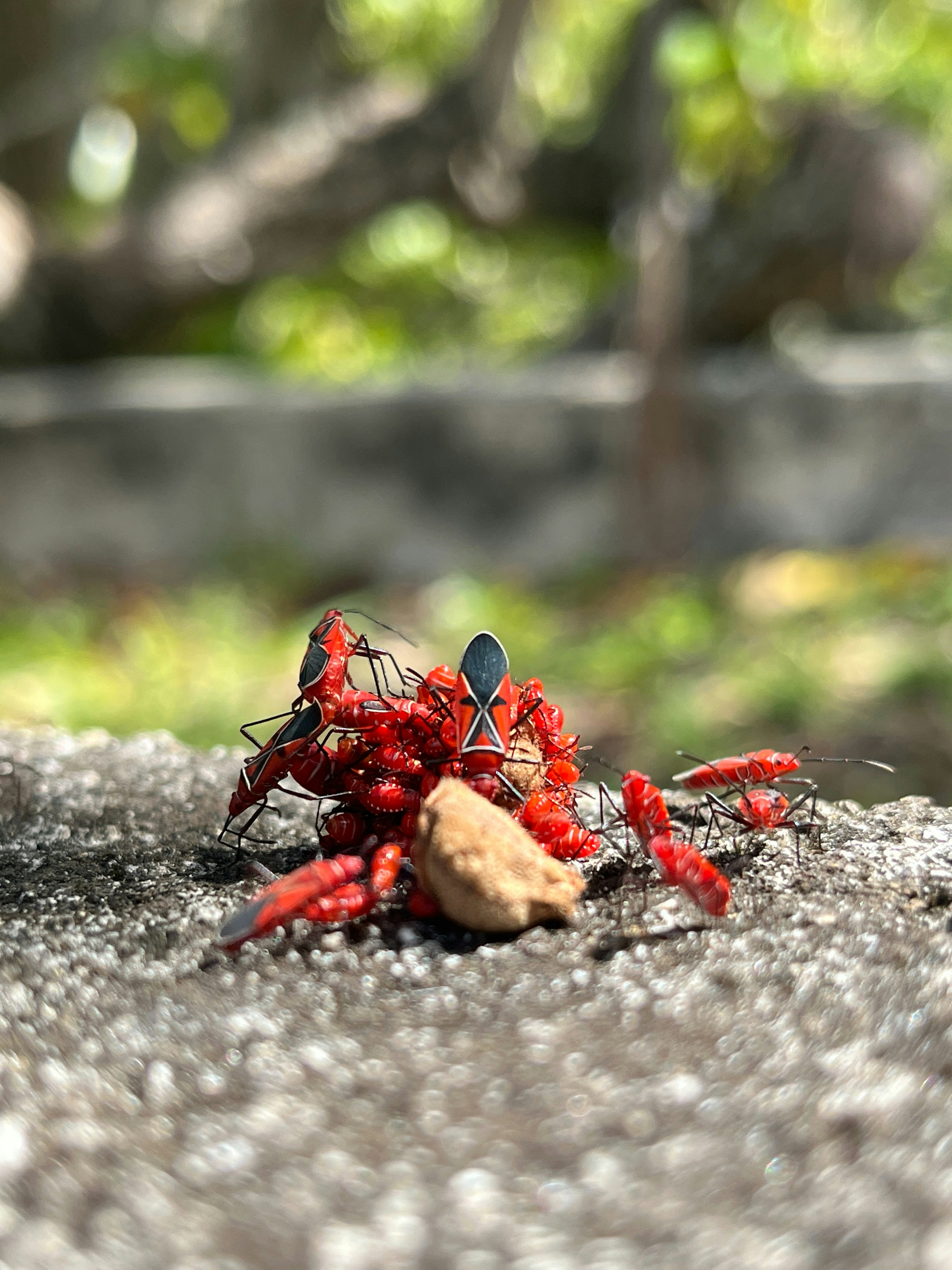 Photo by Adrian Kusznirewicz with Apple iPhone 13