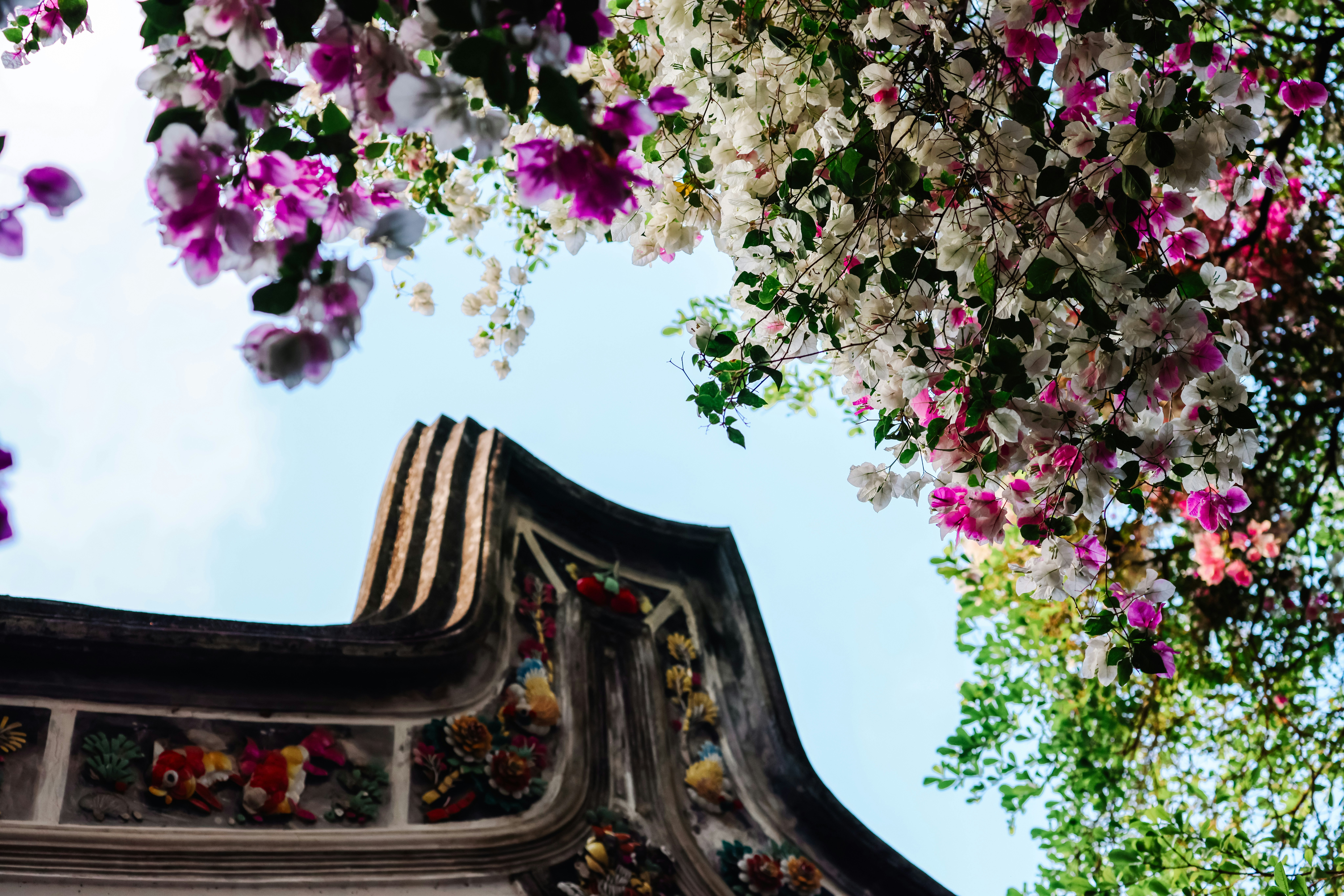 Floral Arch Over Temple Frieze