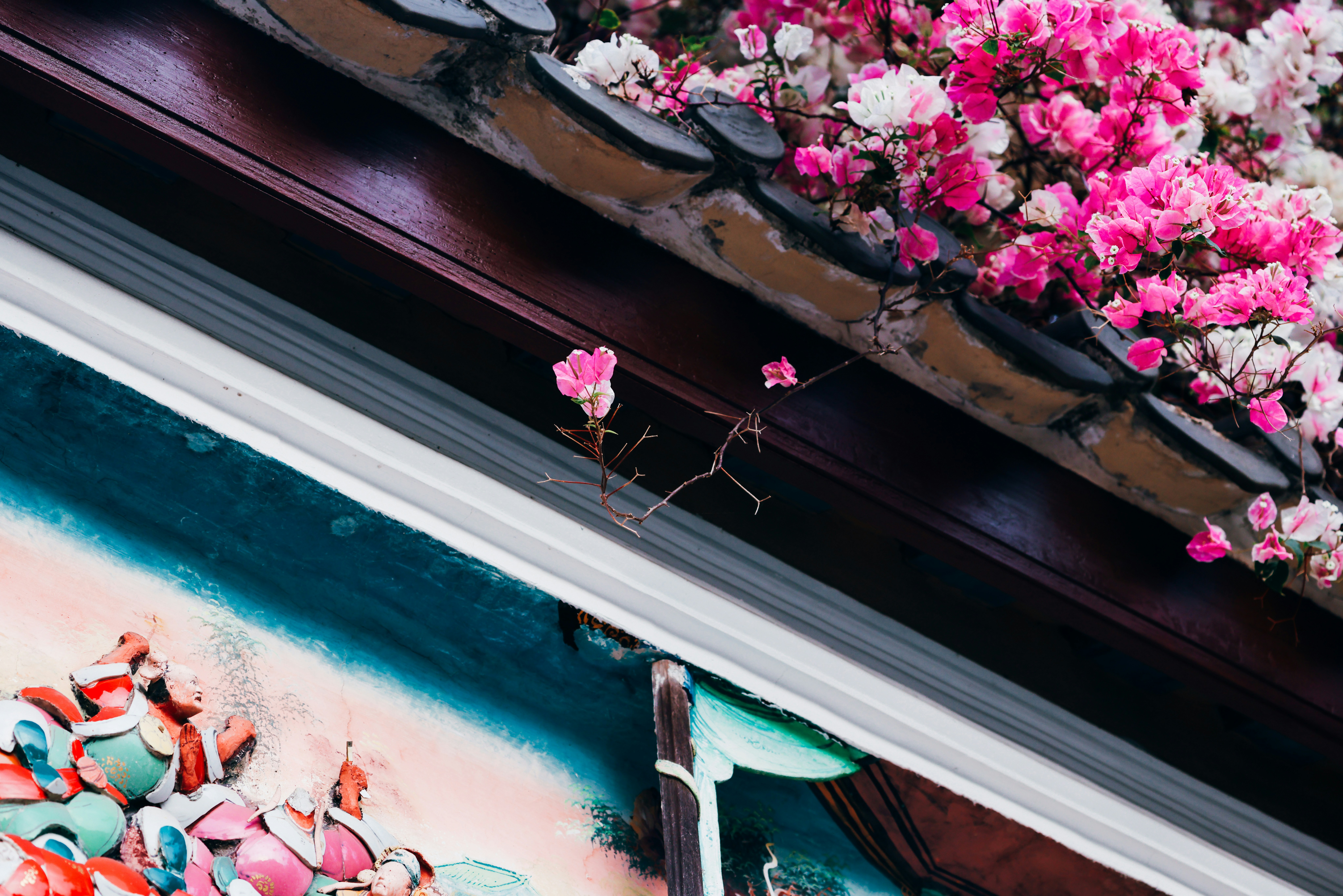 Petals Over a Seaside Mural: A Diagonal City Frieze