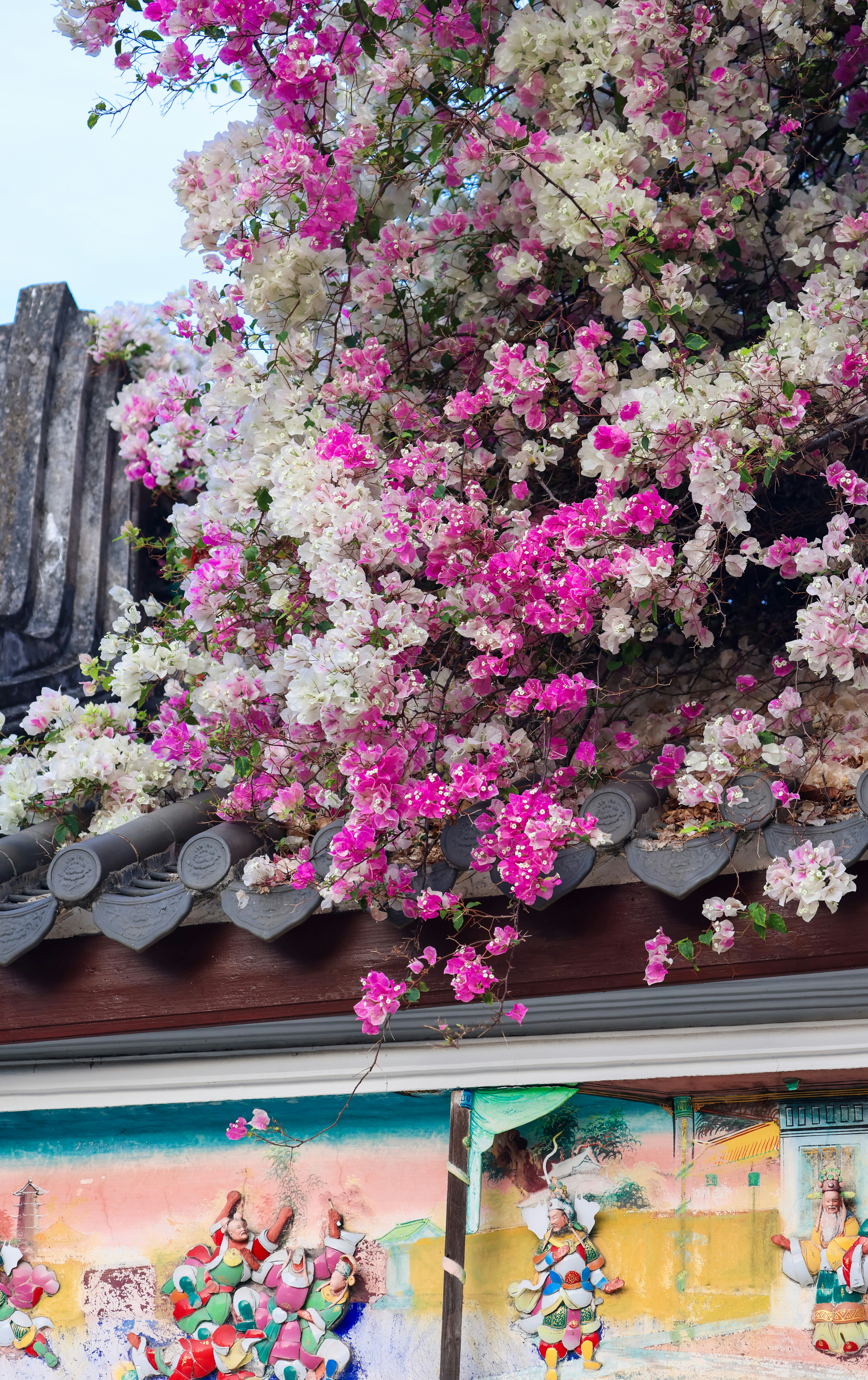 Bougainvillea Curtain Draping a Painted Roof Mural