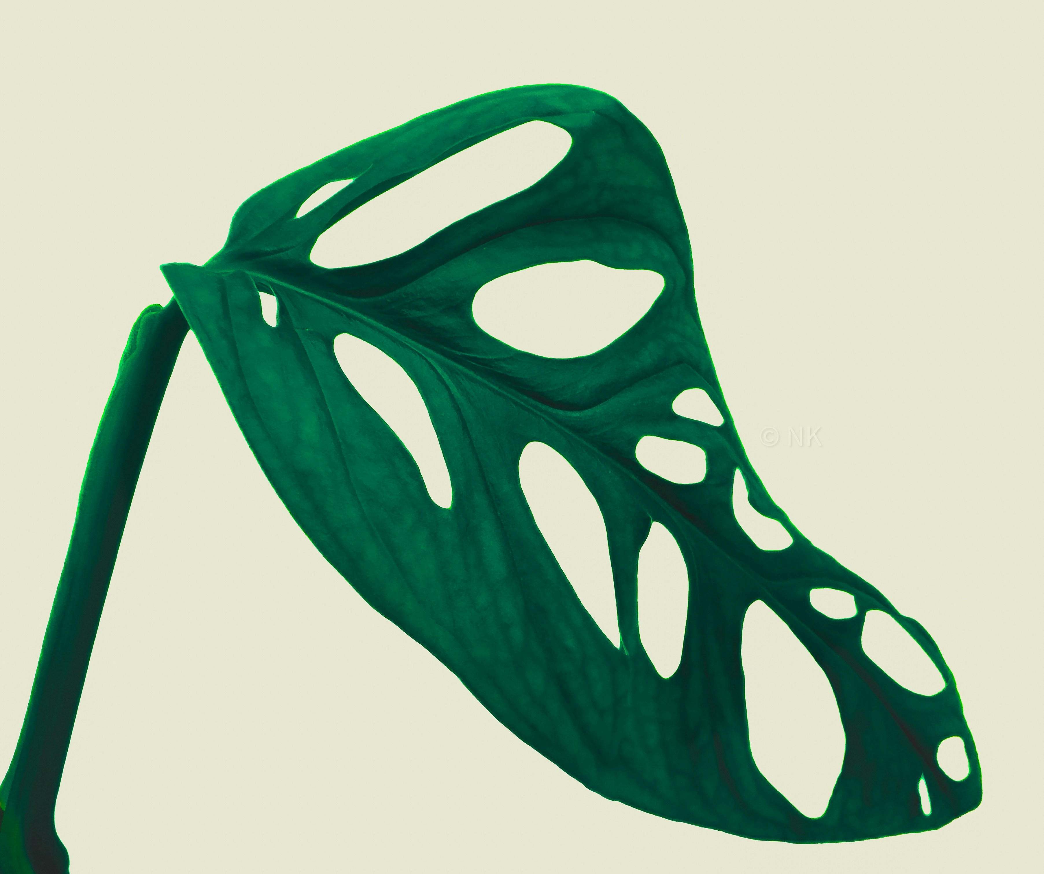 Photo by Nandha Kumar with Apple iPhone 14 Pro Max