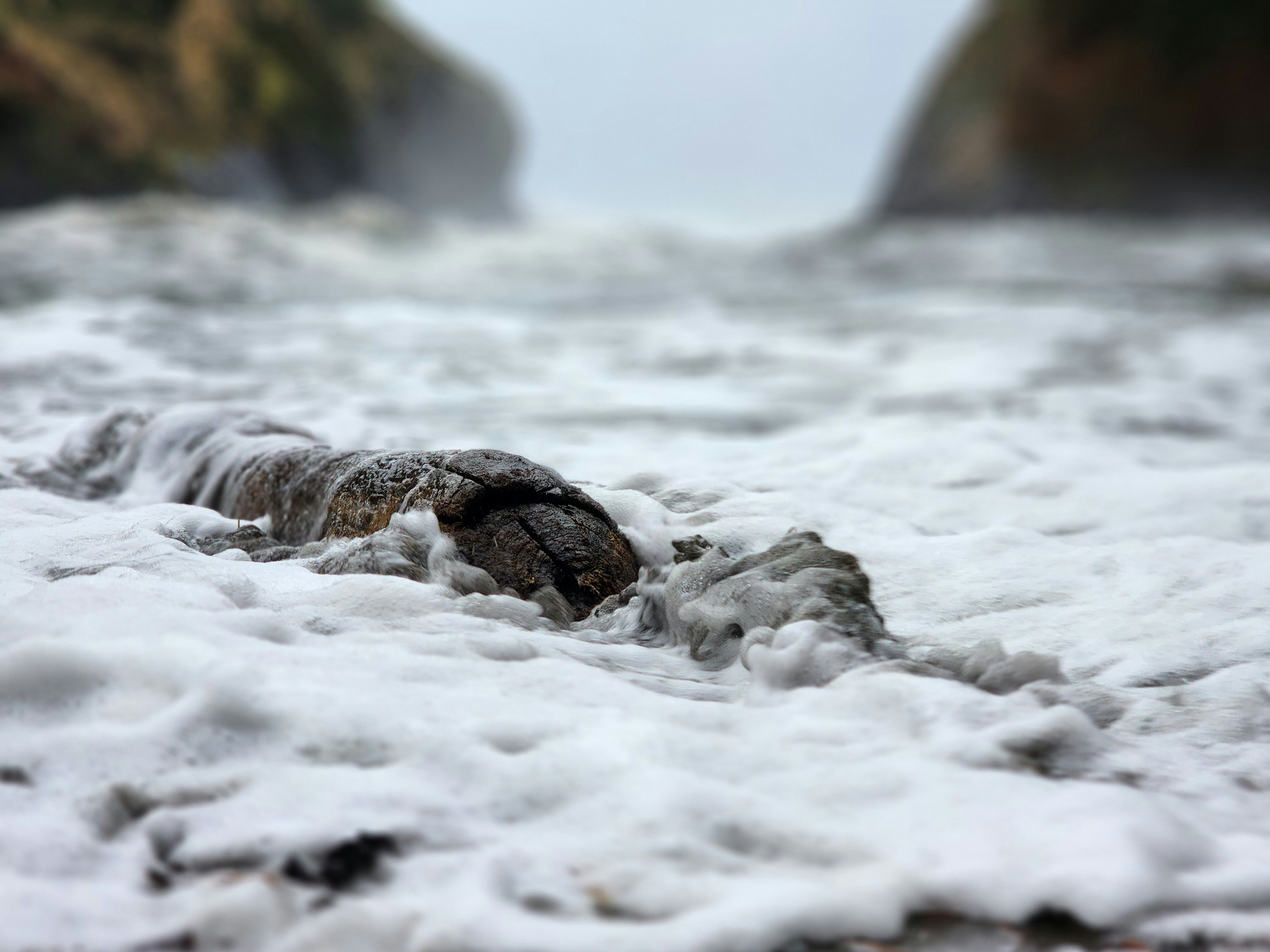 Foamy Shoreline Meander at Twilight