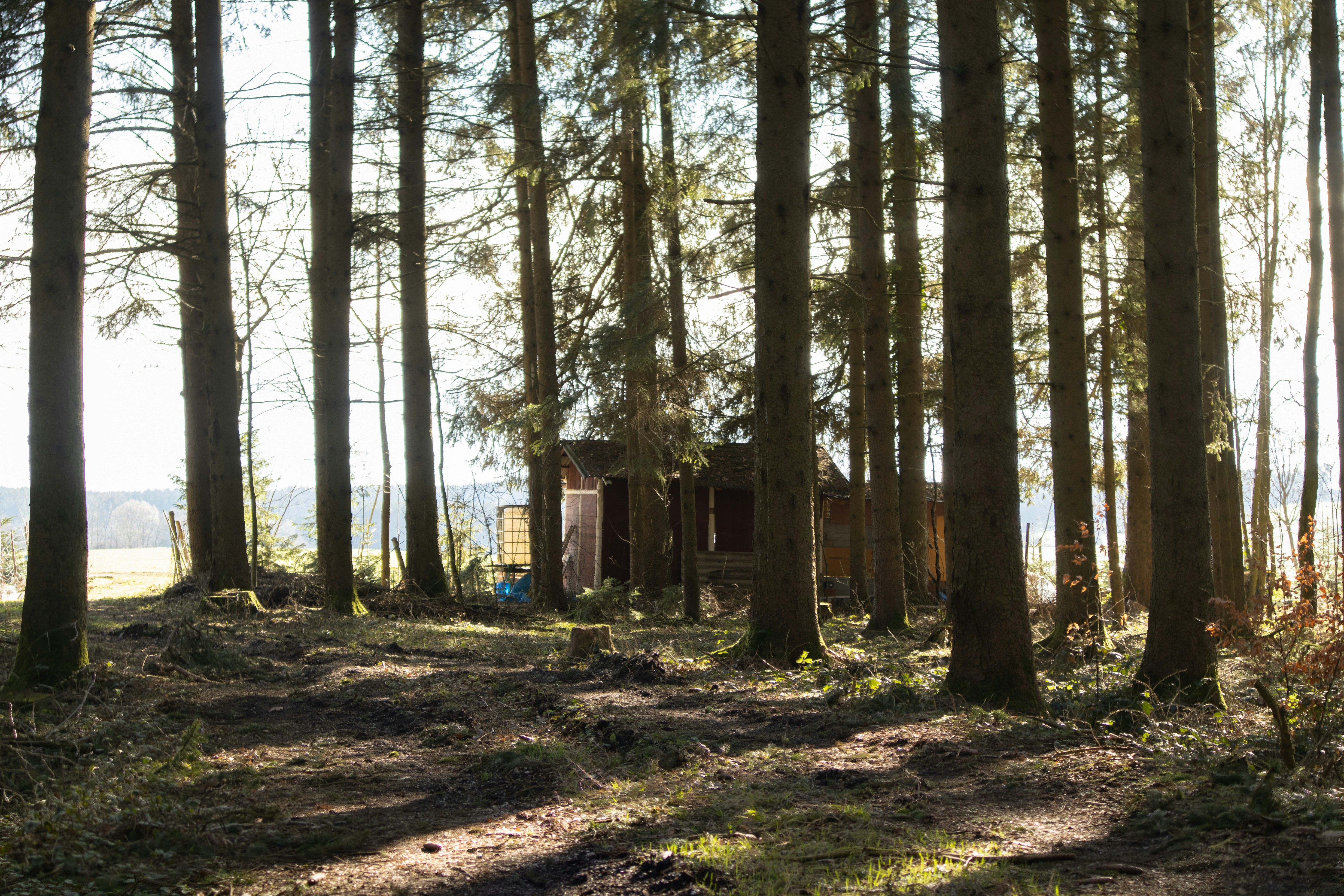 Visit my website for more content. Glorify God