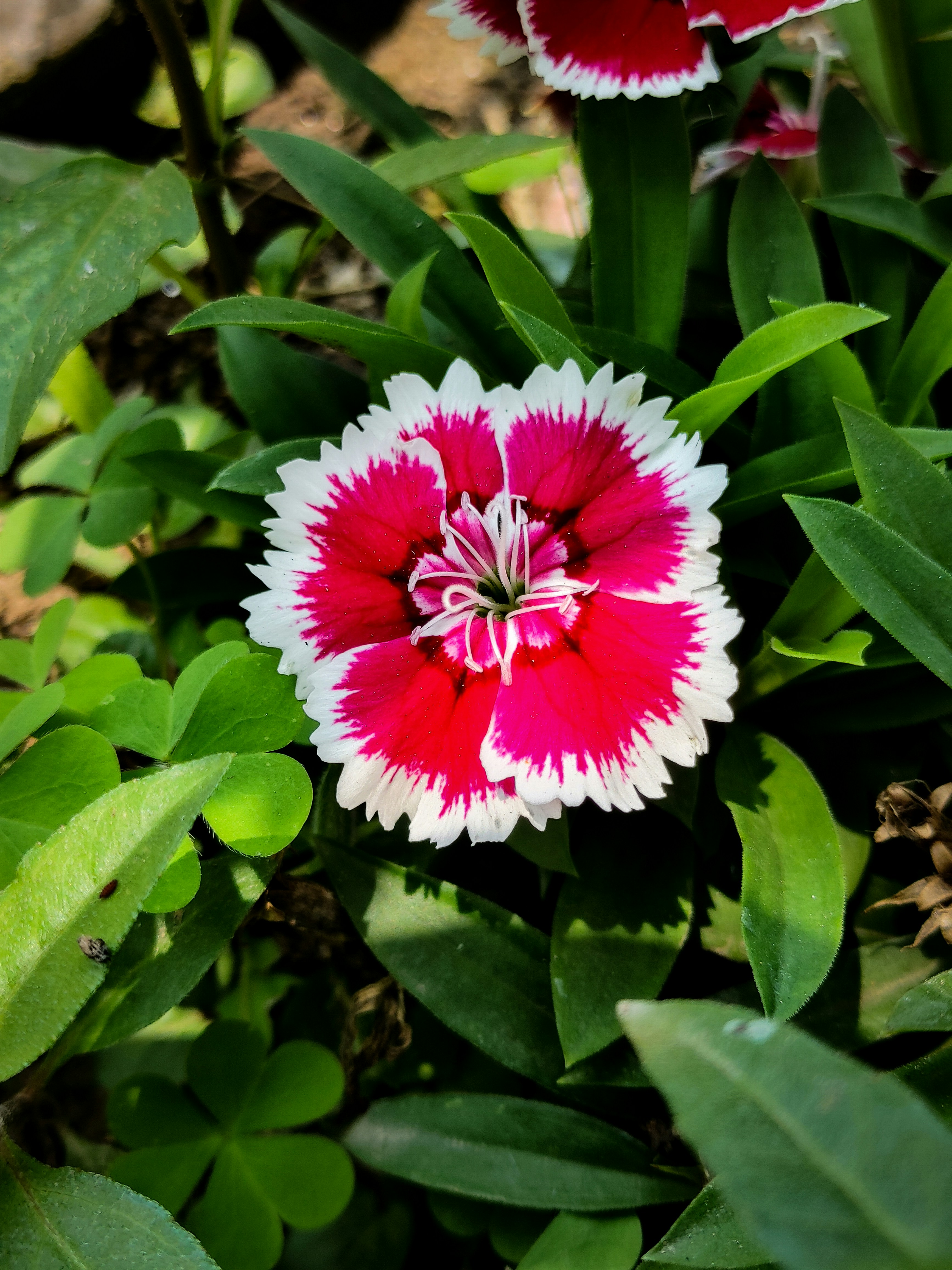 Photo by Wadud Emon with LG V60 ThinQ