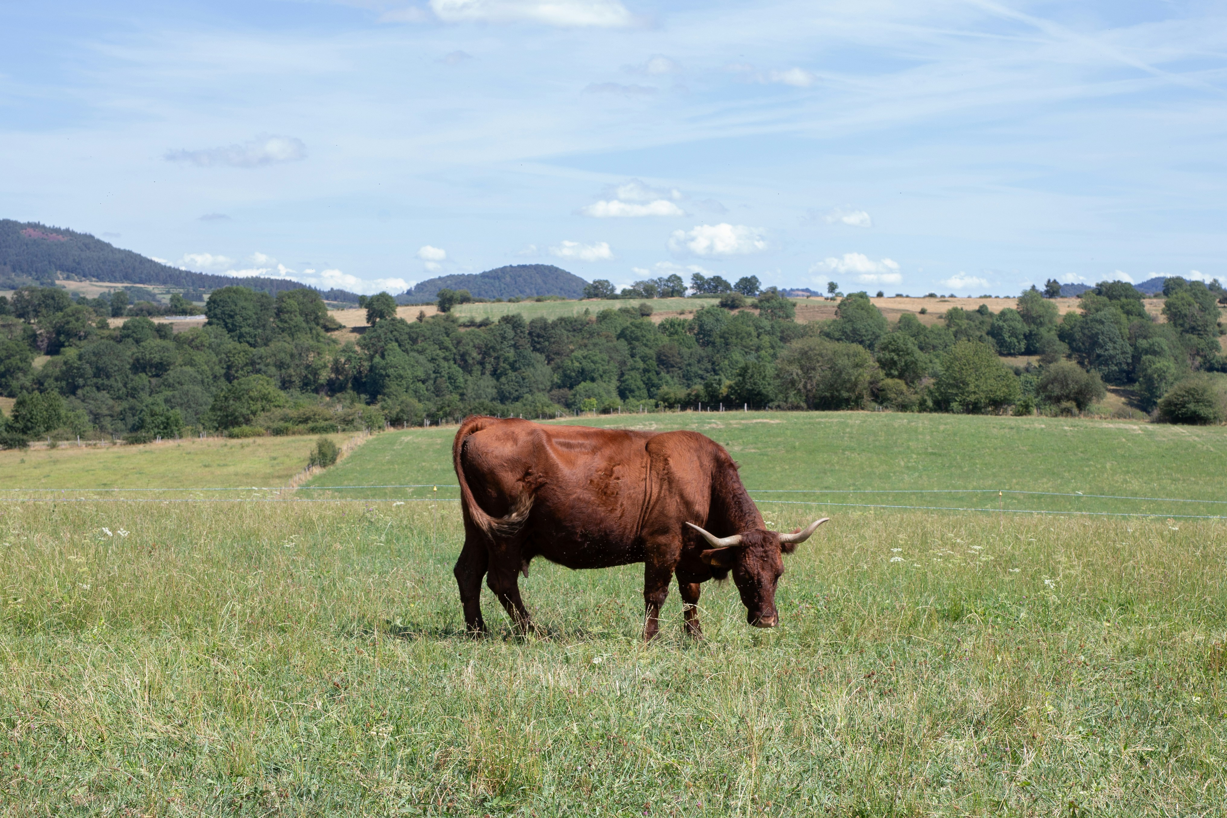 Photo by Nicolas Barbier with Canon EOS 6D