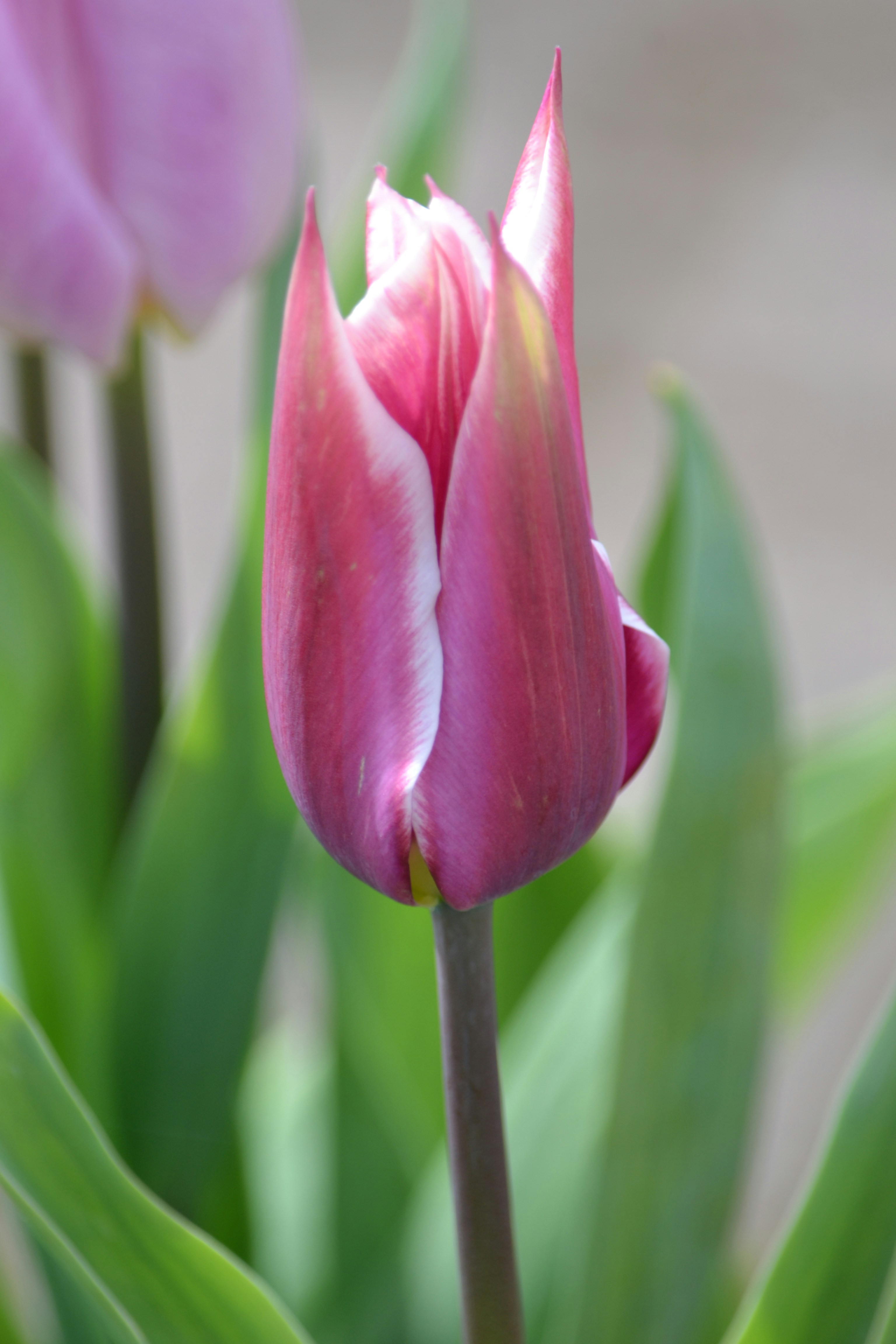 Imágenes de Colores Mixto | Descarga imágenes gratuitas en Unsplash