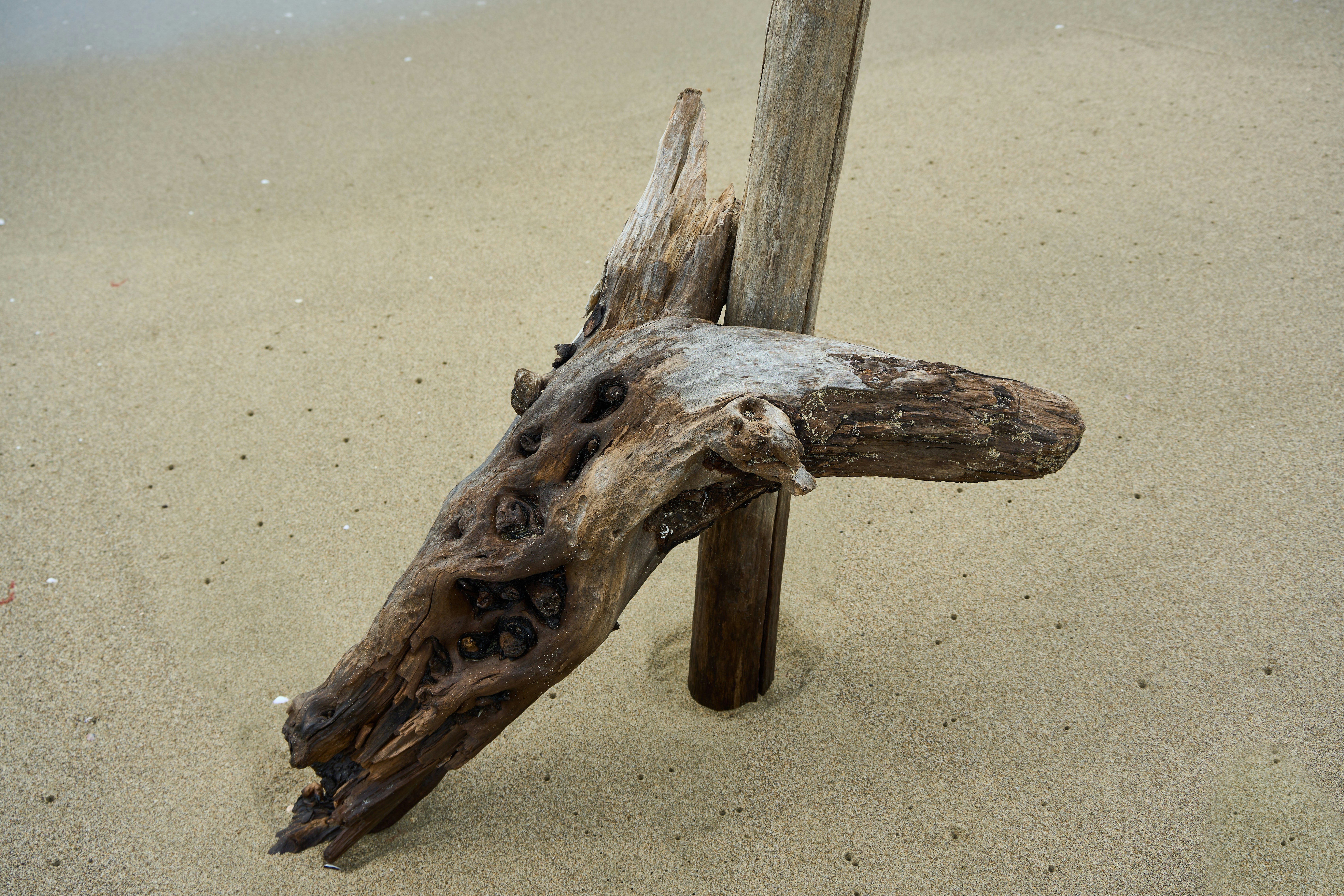 Driftwood Crossbeam Resting on Quiet Beach Sand