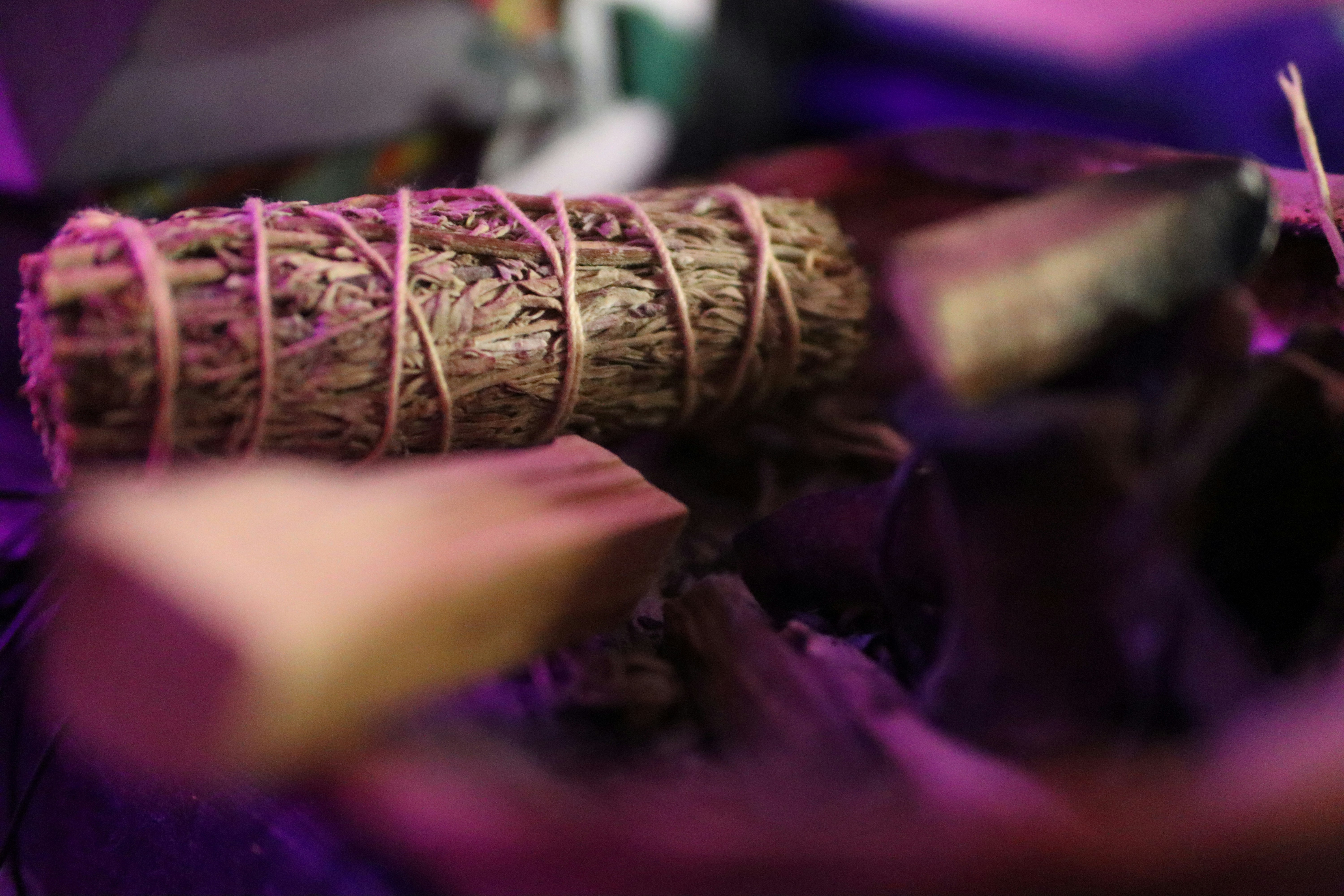 Sage Bundle Under Violet Glow: A Macro Quiet Moment