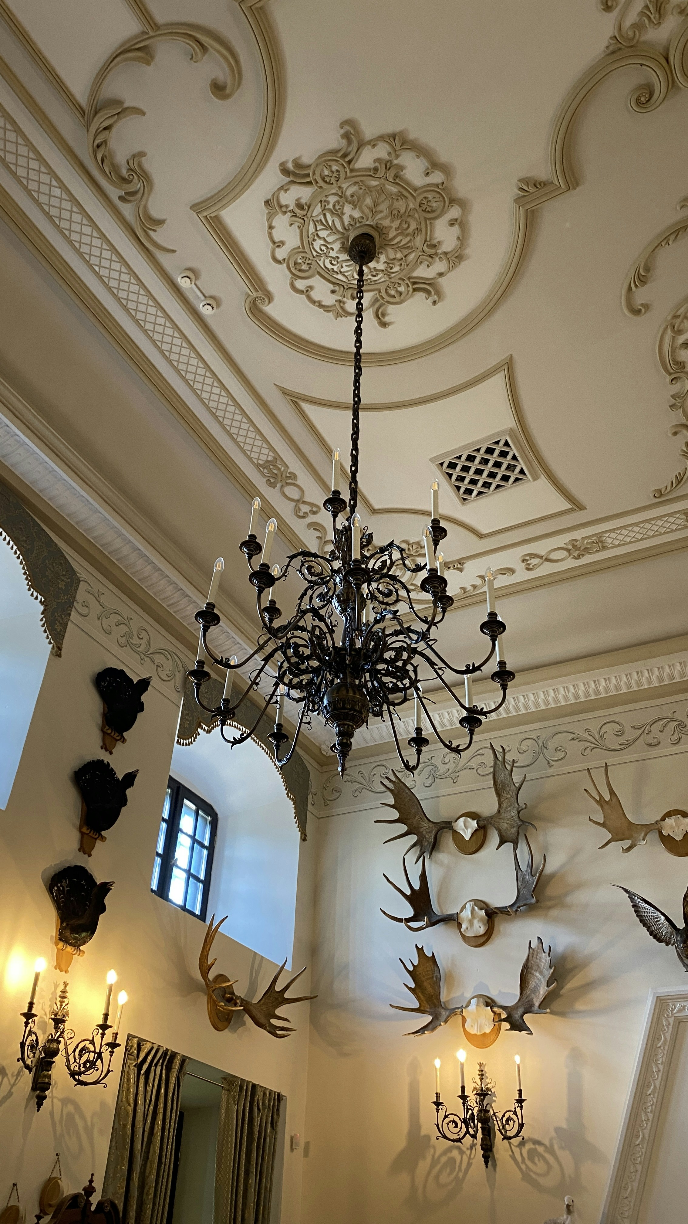 Baroque Ceiling Chandelier Over an Antler Gallery