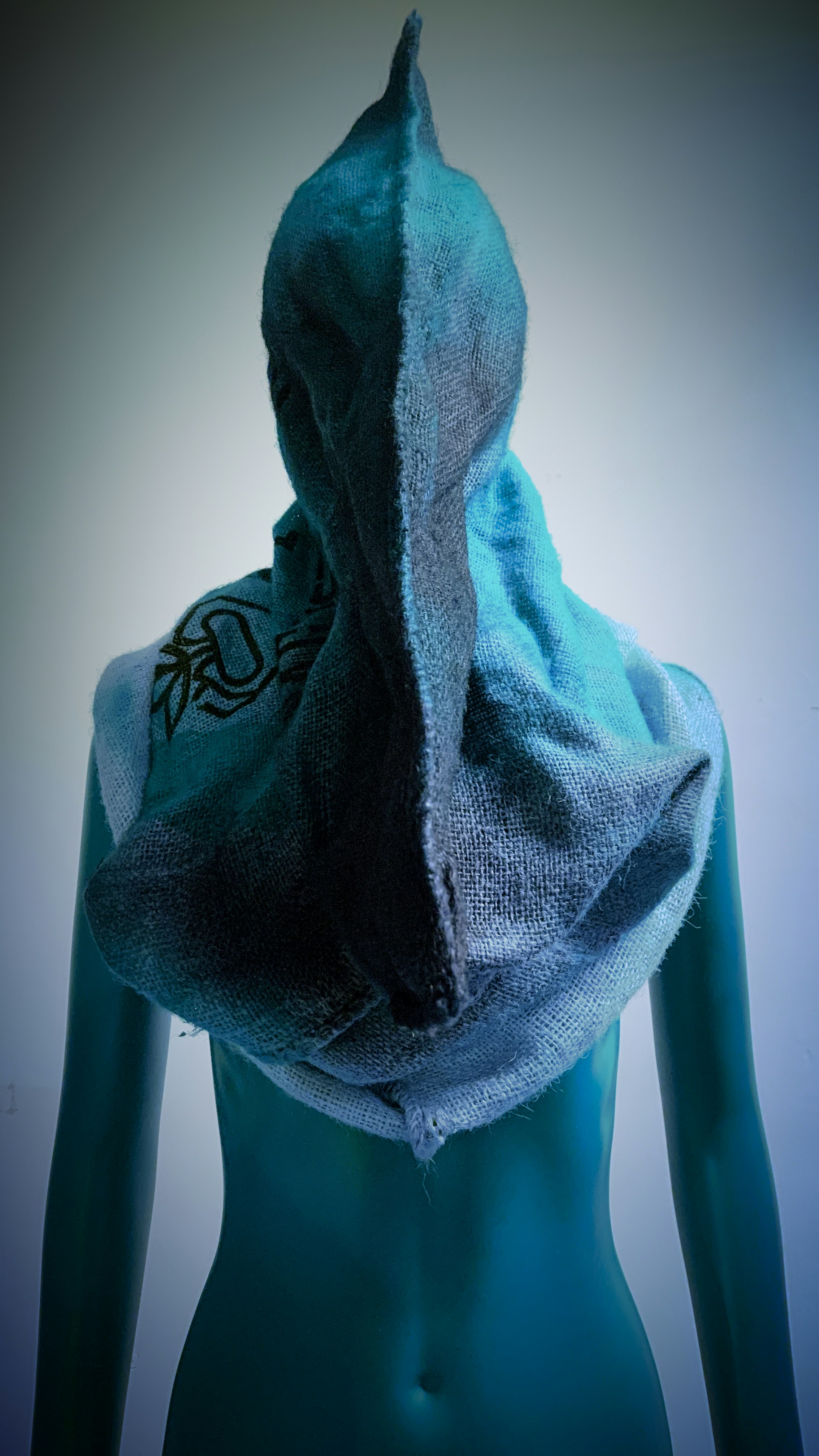 A mannequin's torso with a towel wrapped around it photo – Free ...