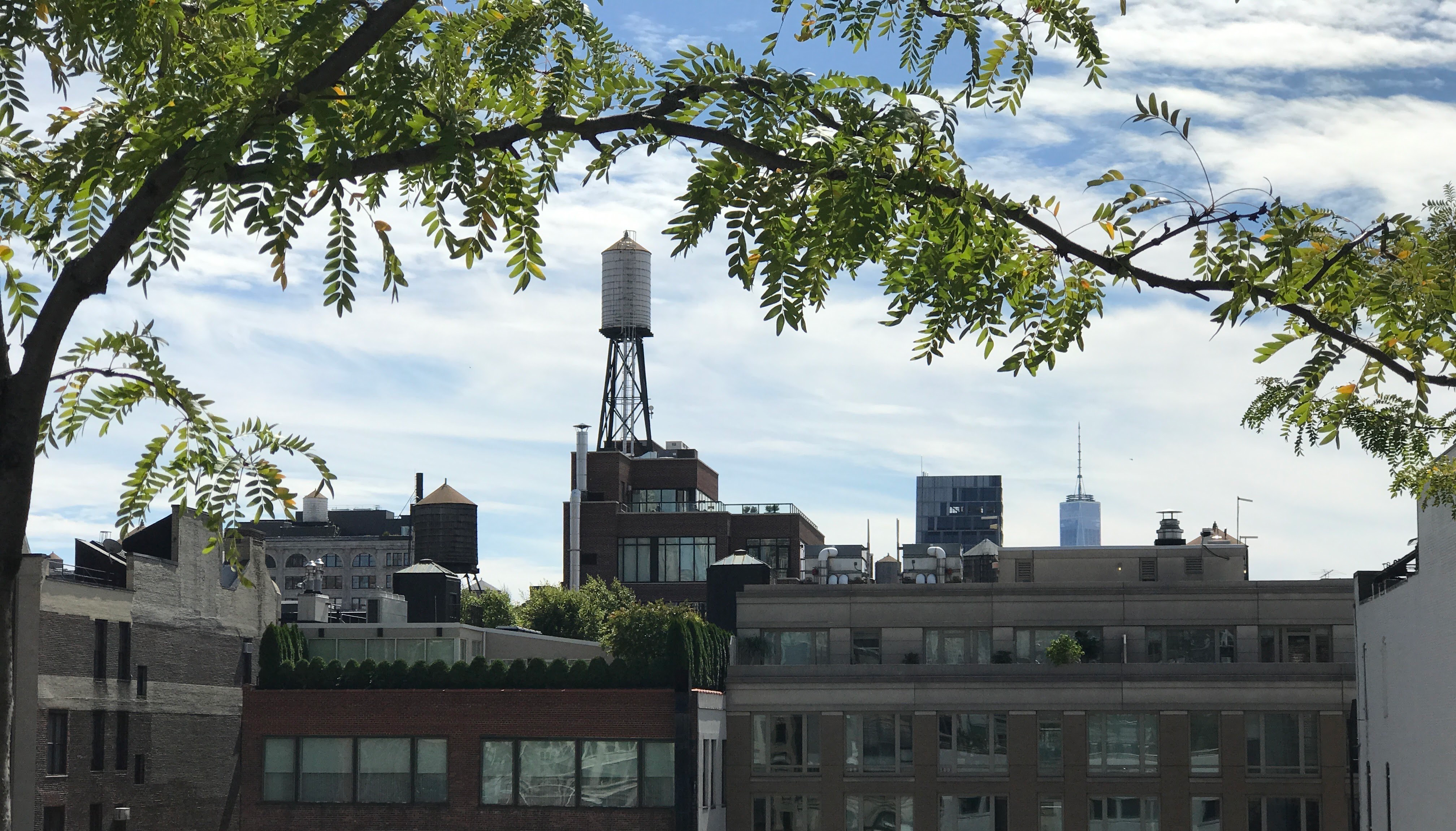 Leafy Arch Over the City: A Water Tower Centerpiece