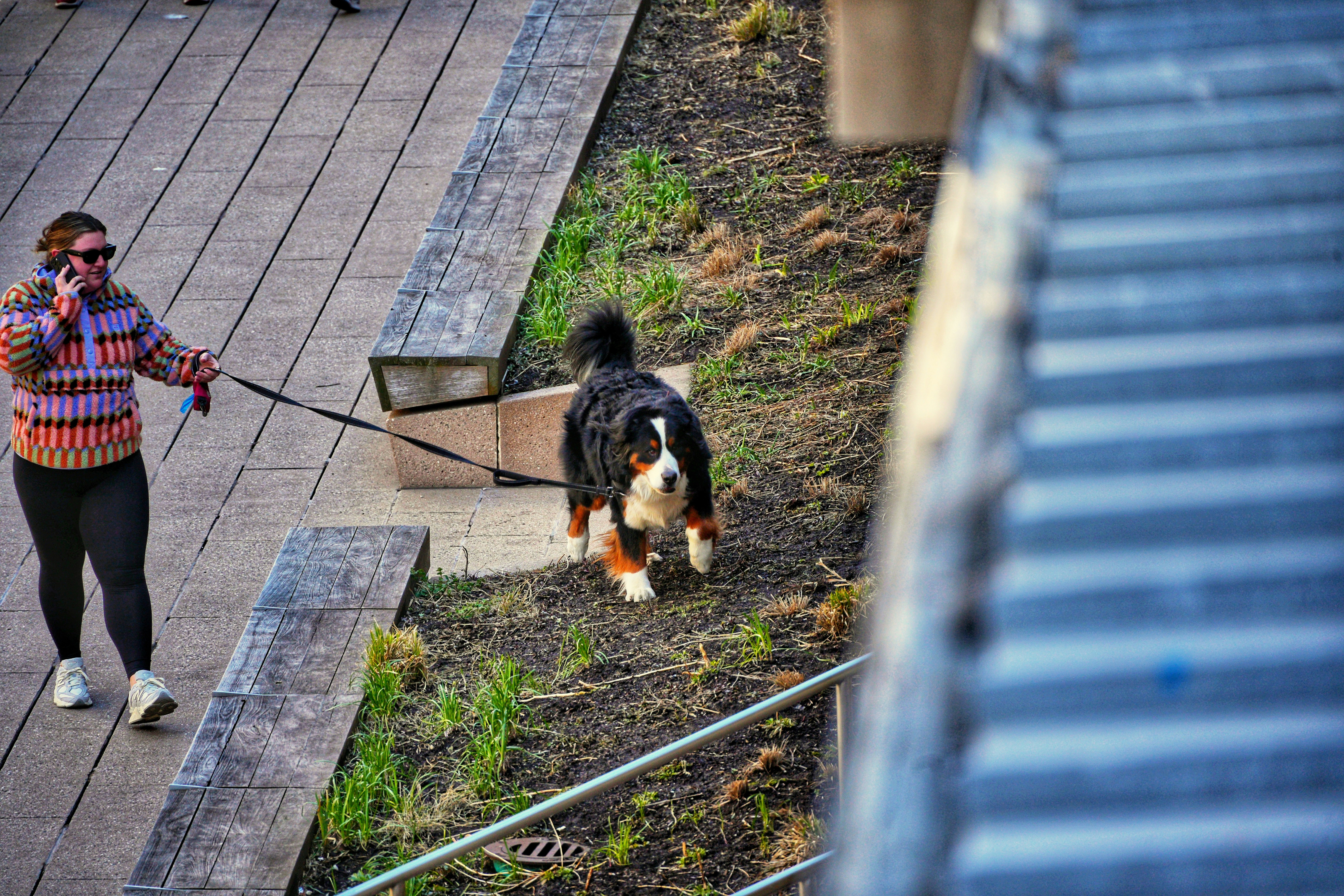 Photo by Jay Patel with Sony Alpha 7 IV