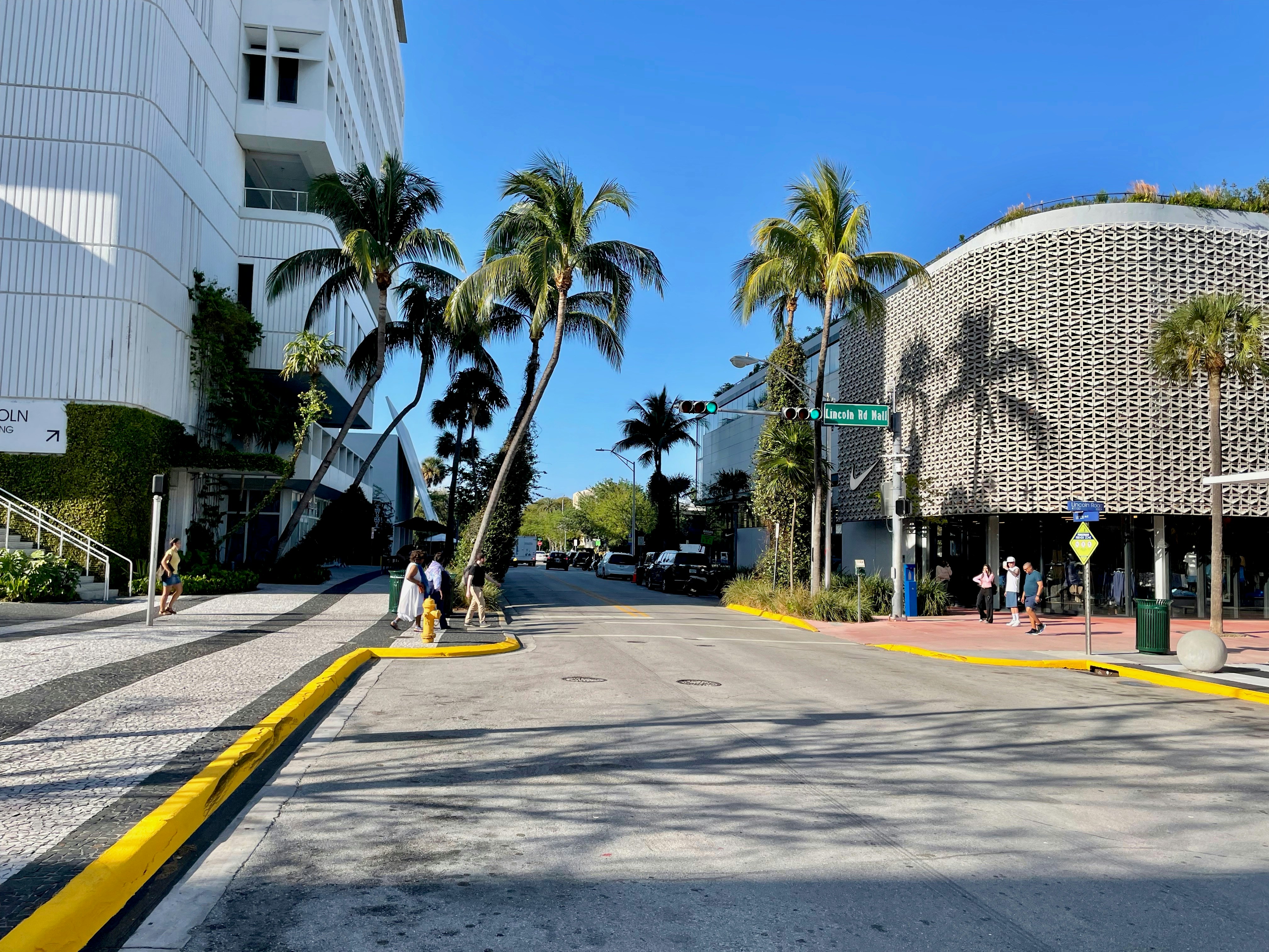 Palm-Shaded Ocean Way: Sunlit Street Scene Between White Facades