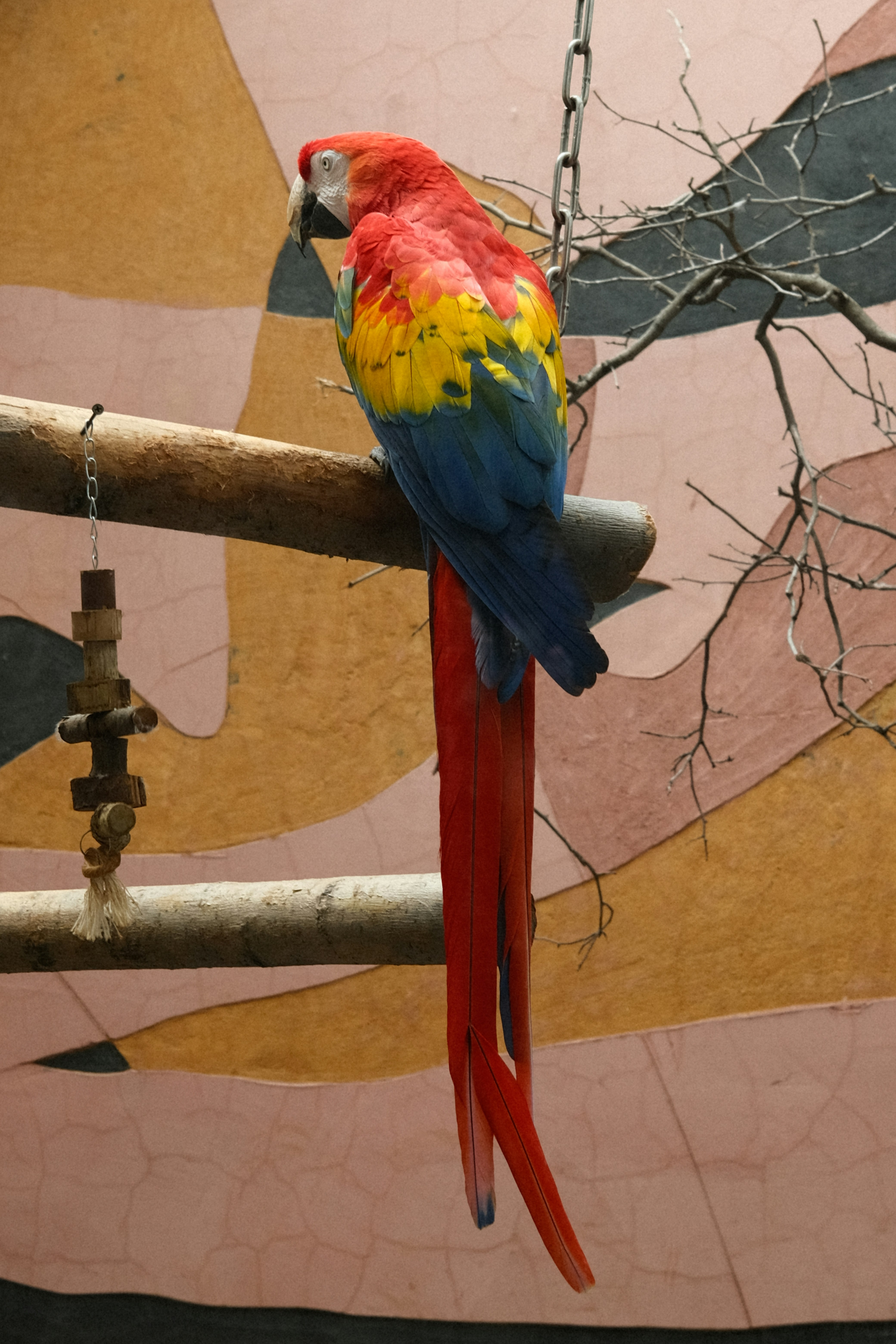 Crimson Macaw on a Weathered Log: Vivid Plumage Against a Painted Wall