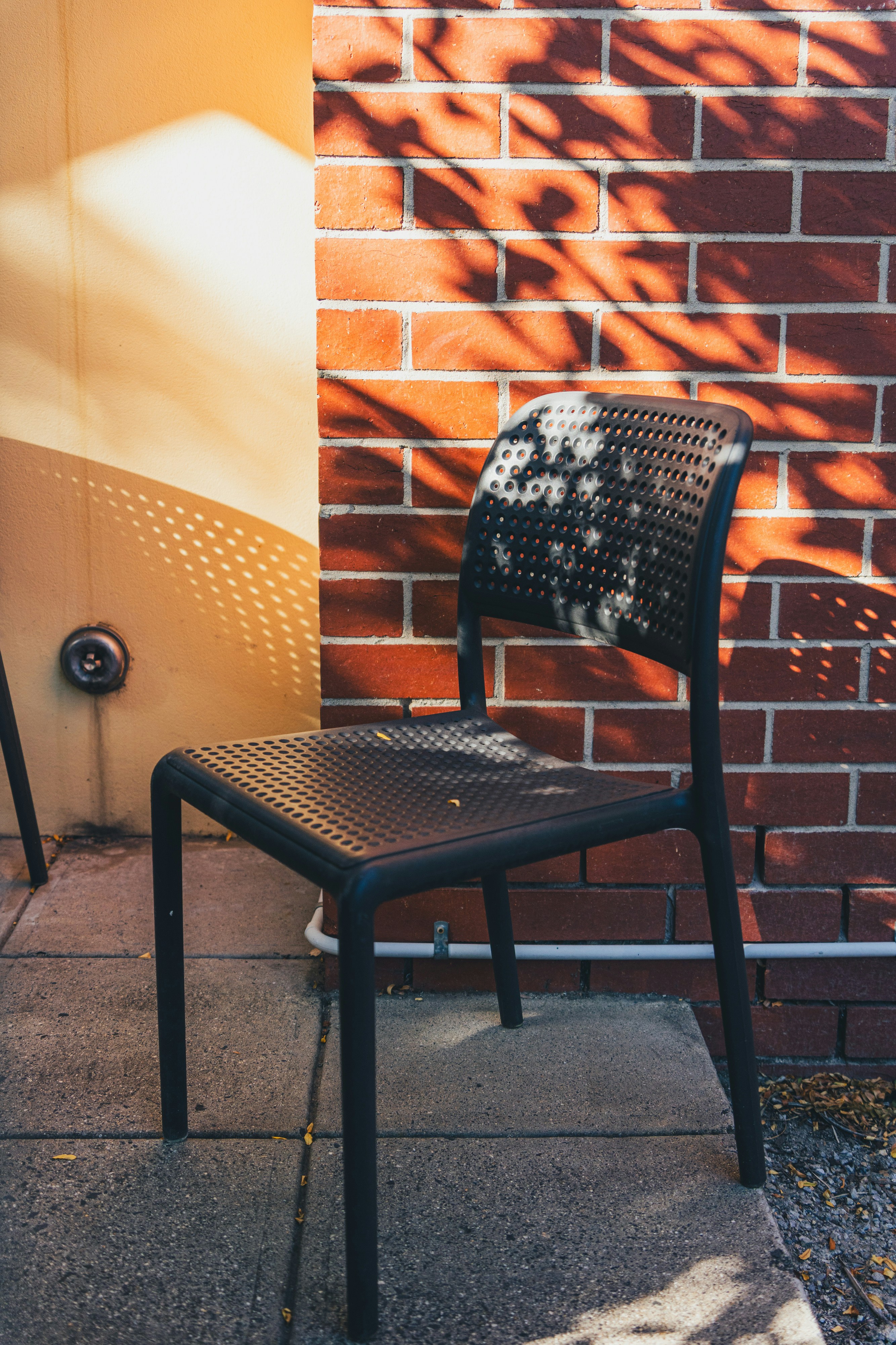 Photo by Diwei Zhu with Sony Alpha 7 IV