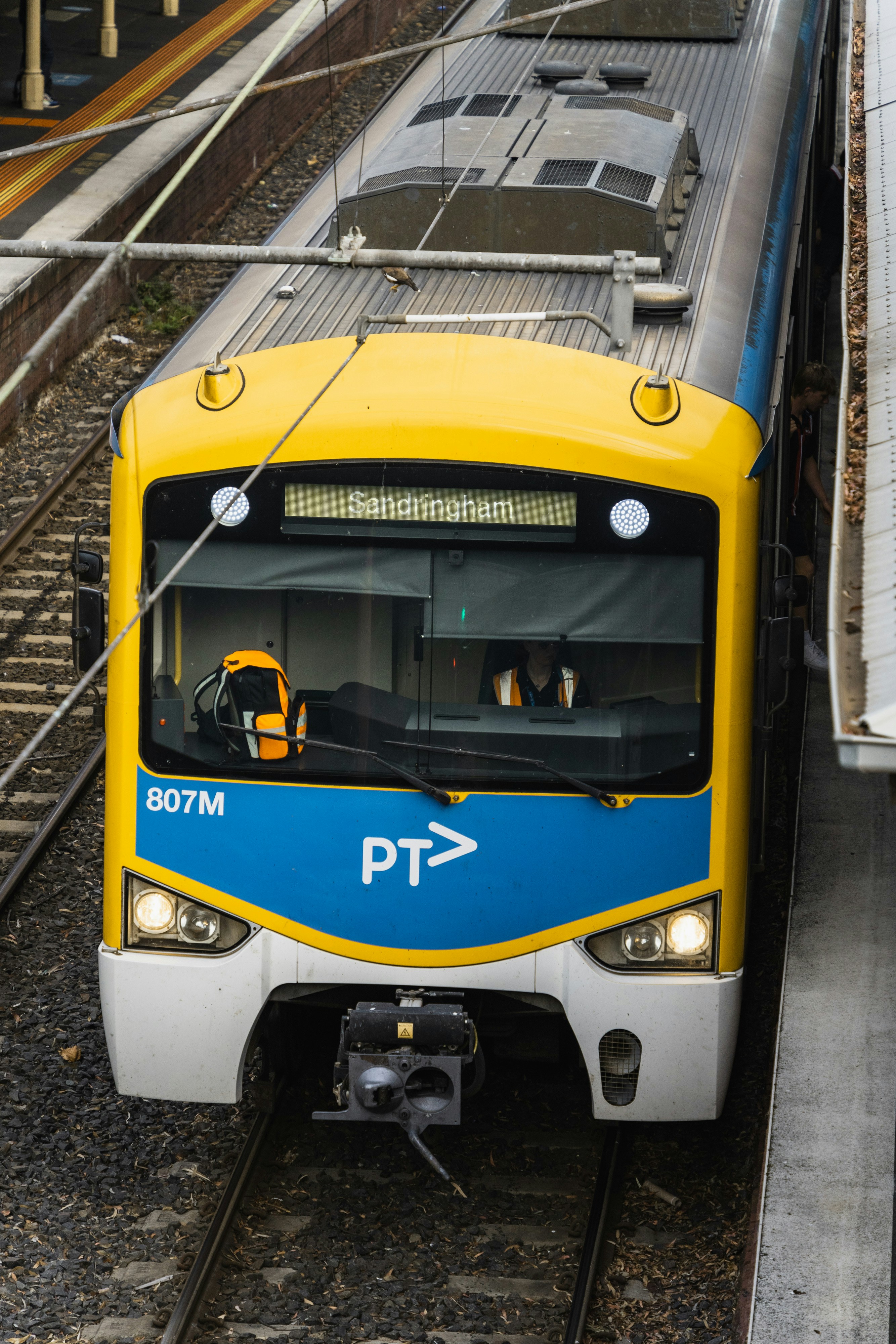 Bright blue and yellow commuter train captured head-on at the platform