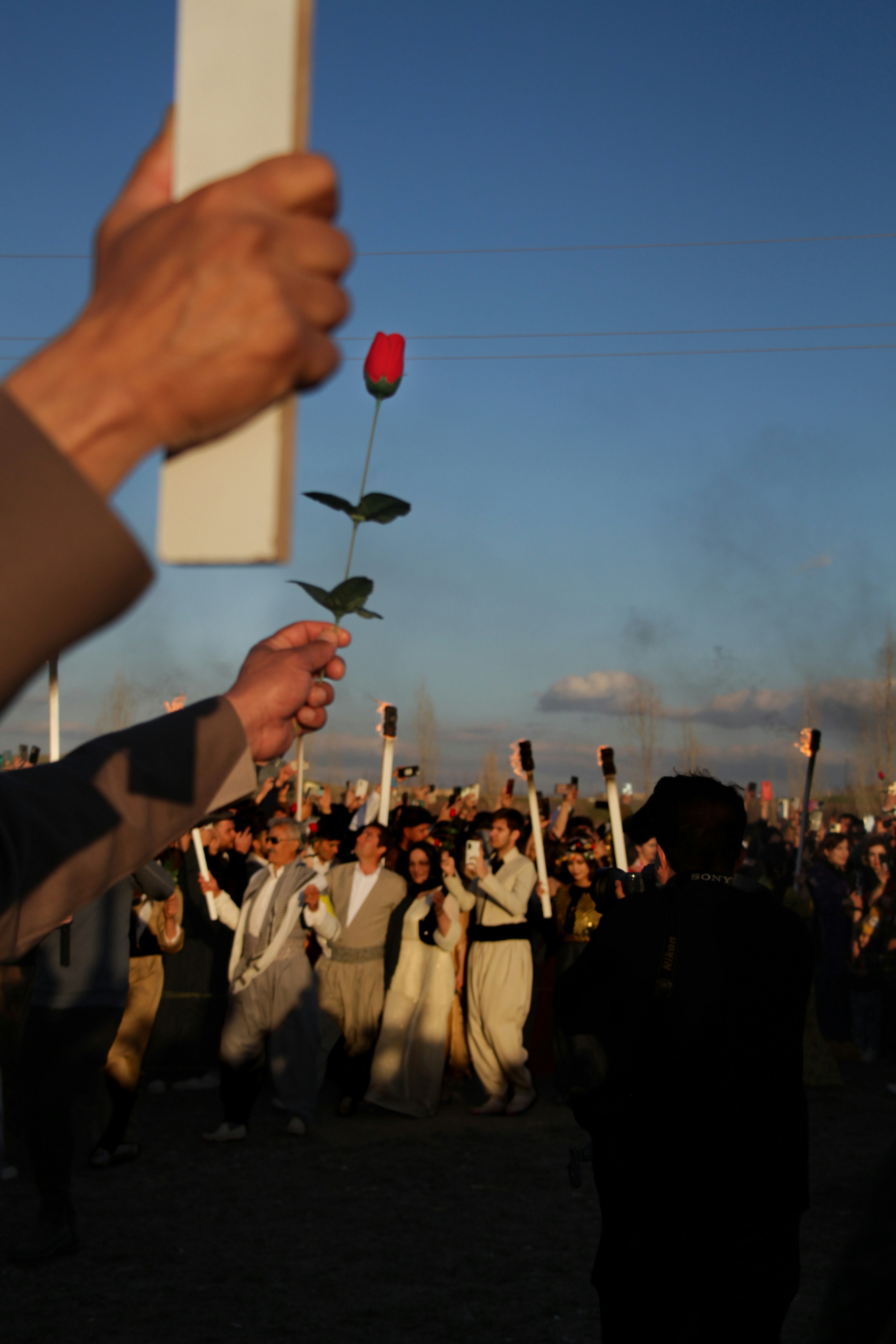Rose and Torchlight: A Foreground Gesture Over a Dusk Procession