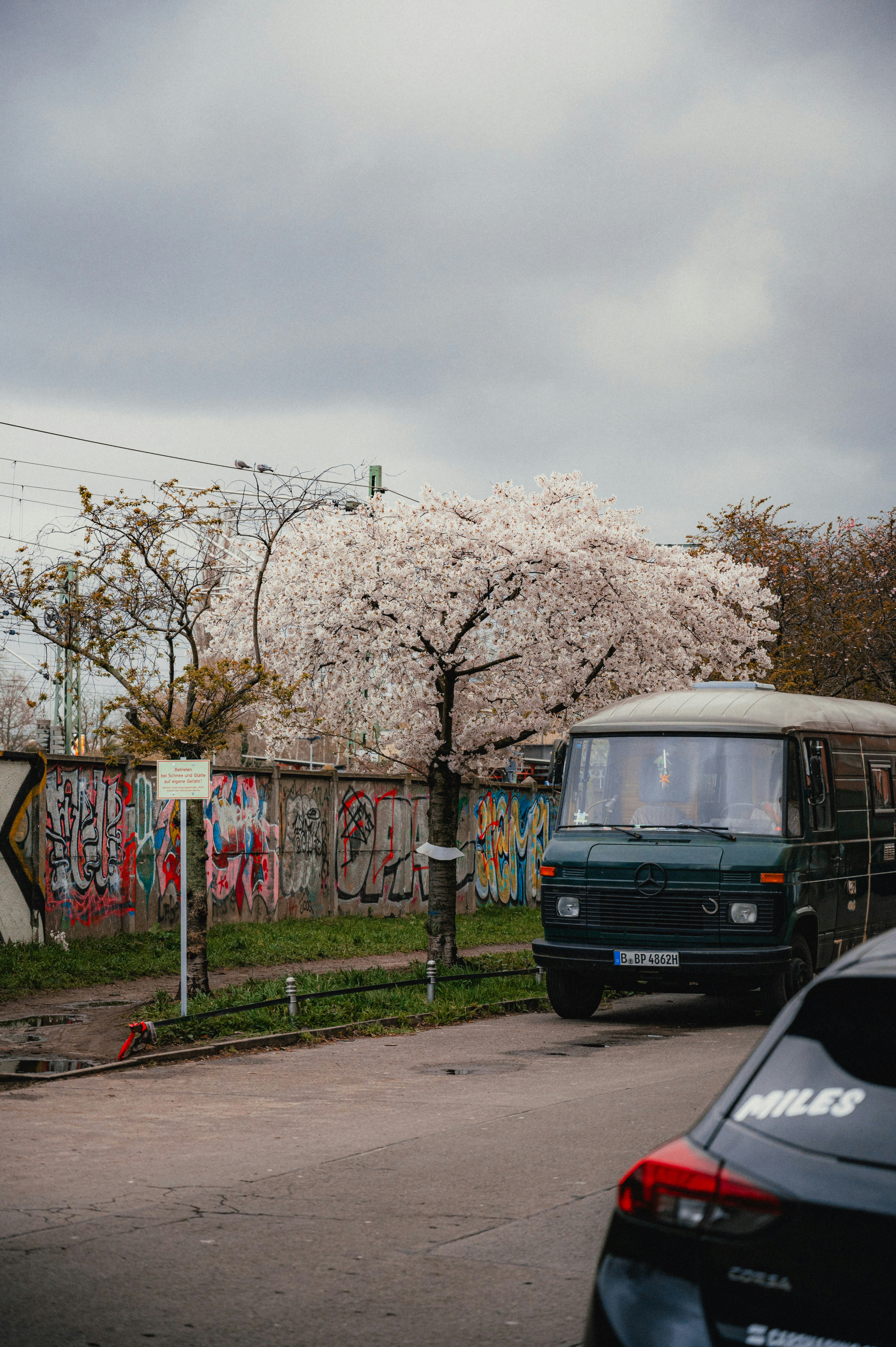 Cherry Bloom Over a Graffiti Alley: A Quiet Street Moment with a Vintage Van