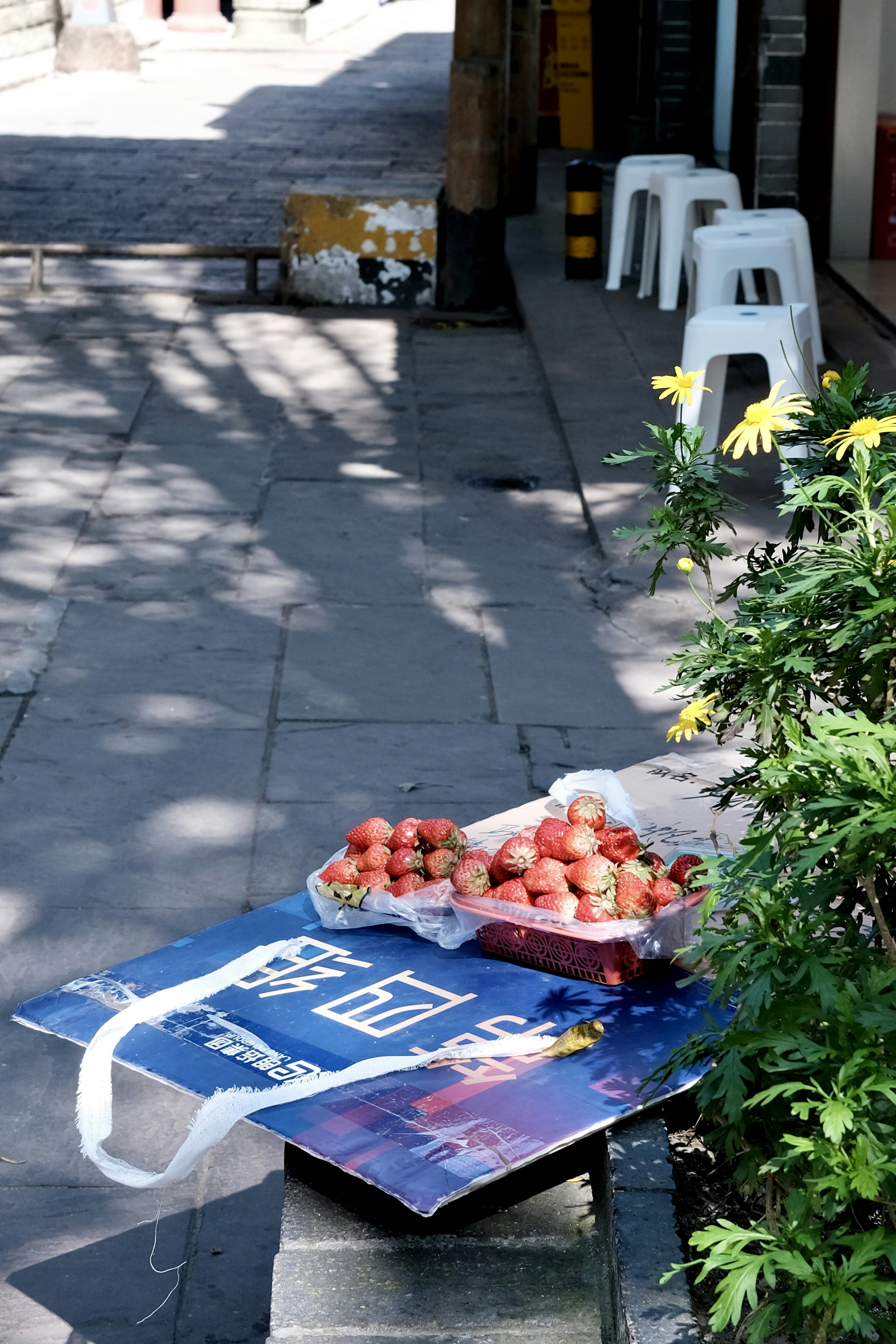Sunlit Street Stall: Fresh Strawberries on a Blue Tote Amid Daisies