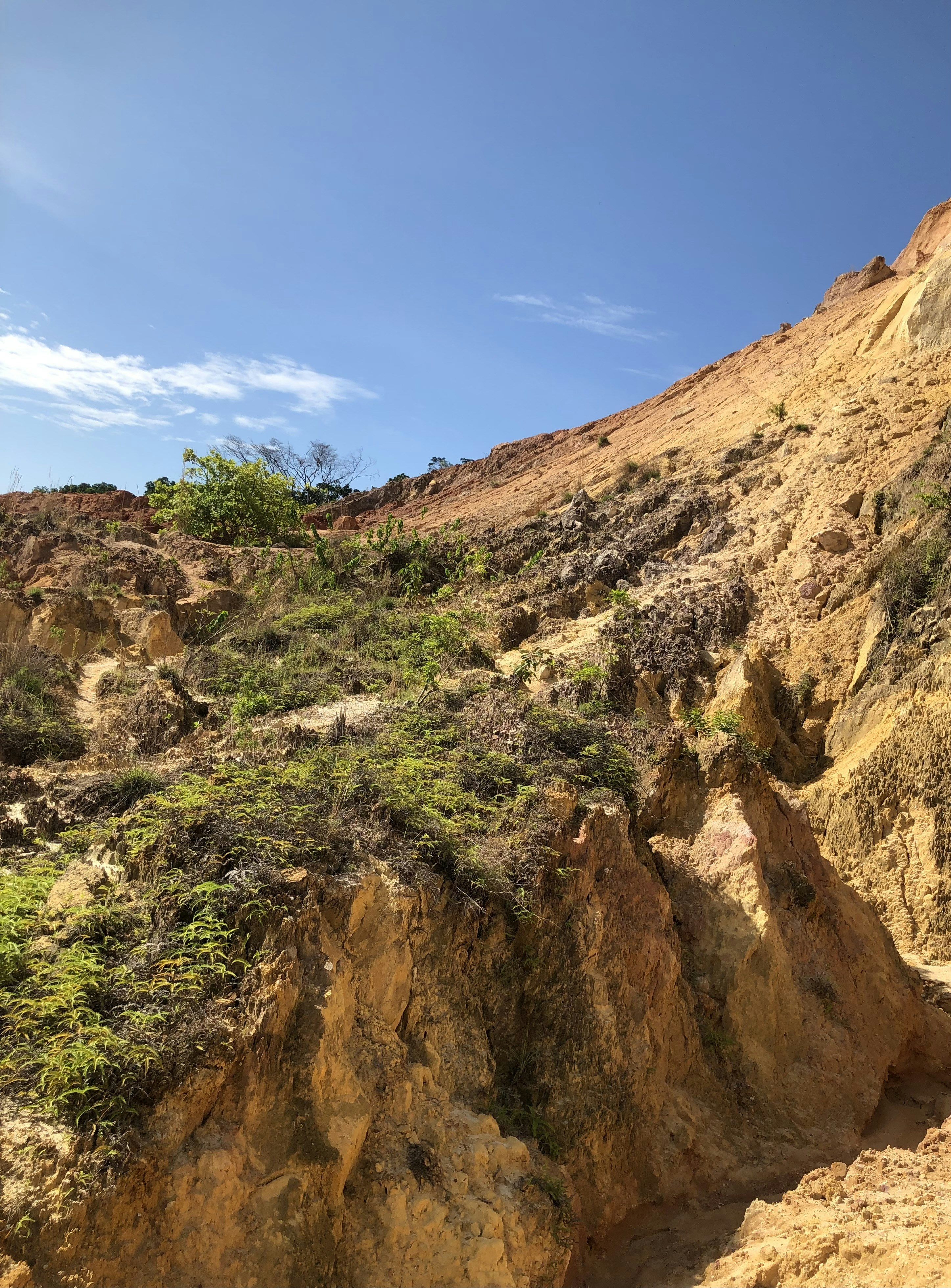 Steep rocky hillside with patches of greenery under a bright blue sky.
