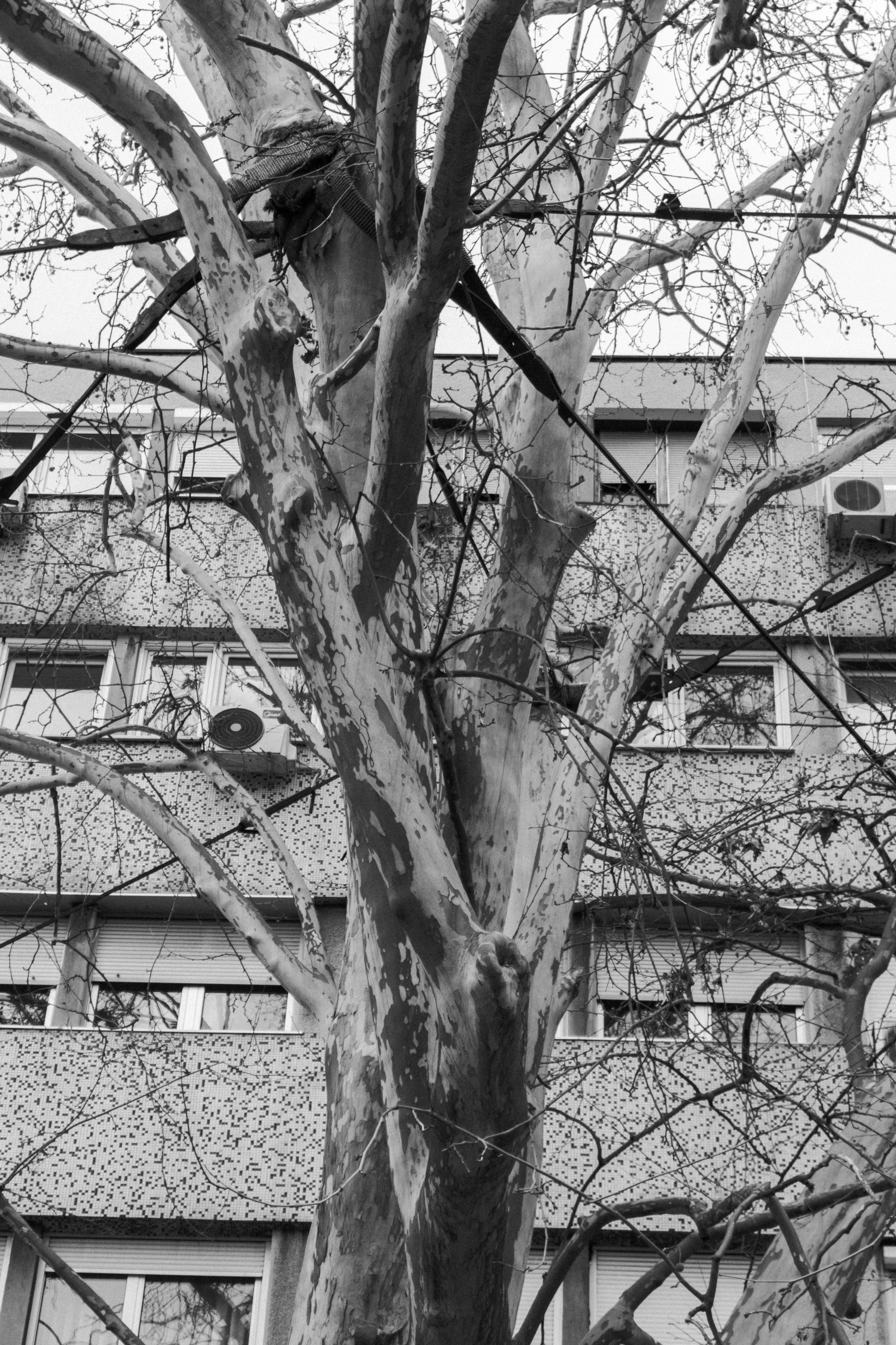 Photo by Anton Malahov with Sony Alpha 6000