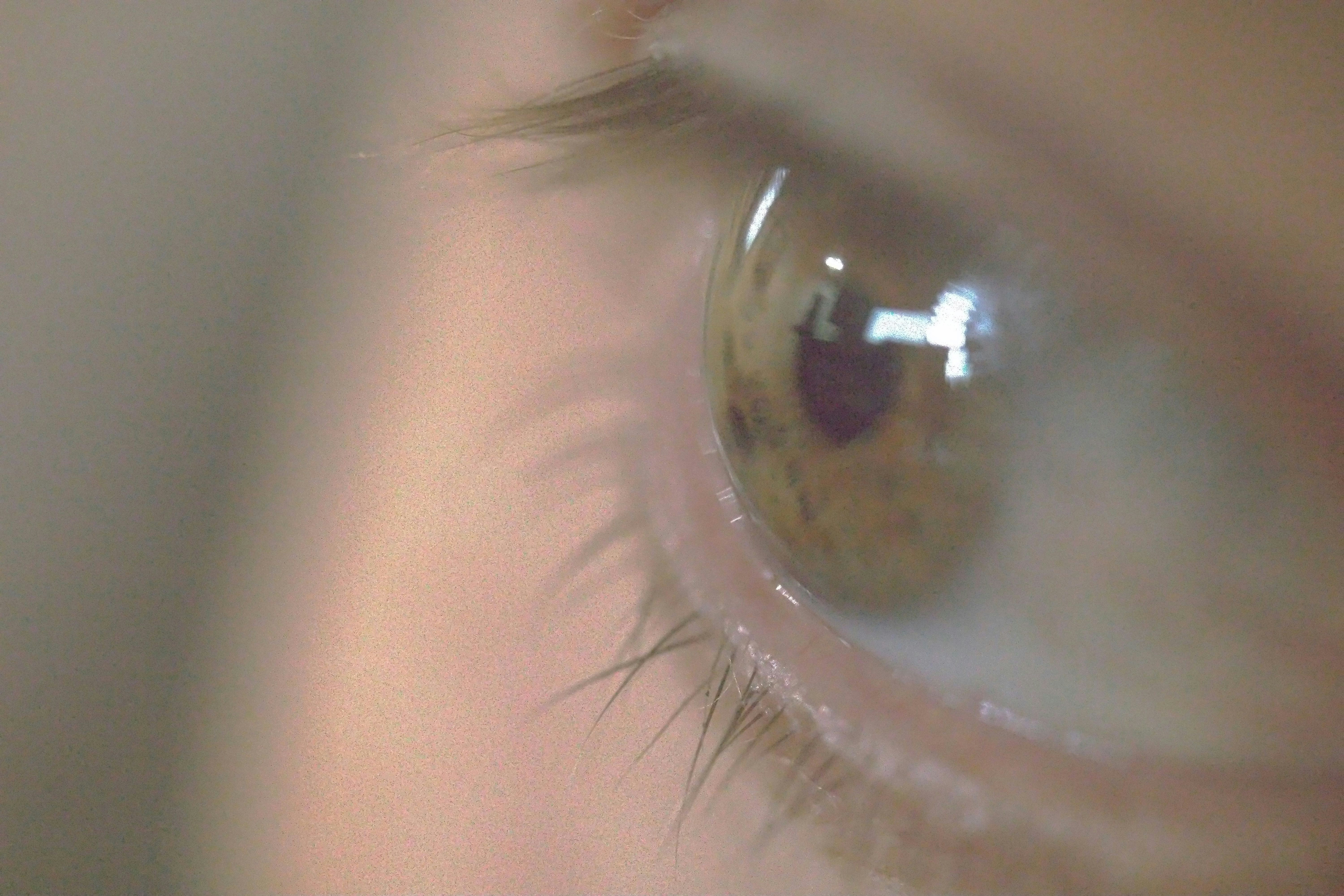 Close-up of an eye capturing intricate details of the iris and reflections.