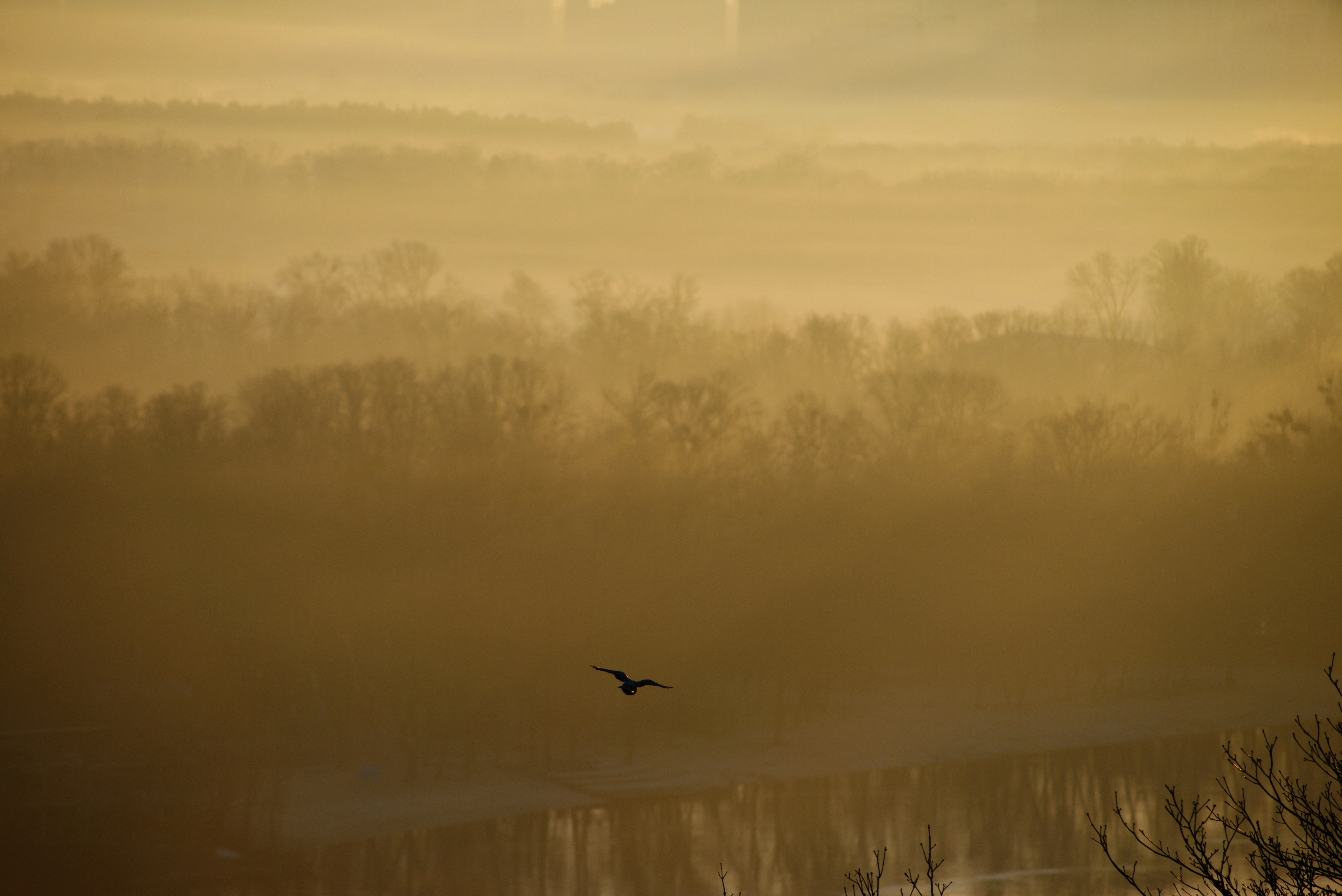 Photo by Liana S with Nikon D600