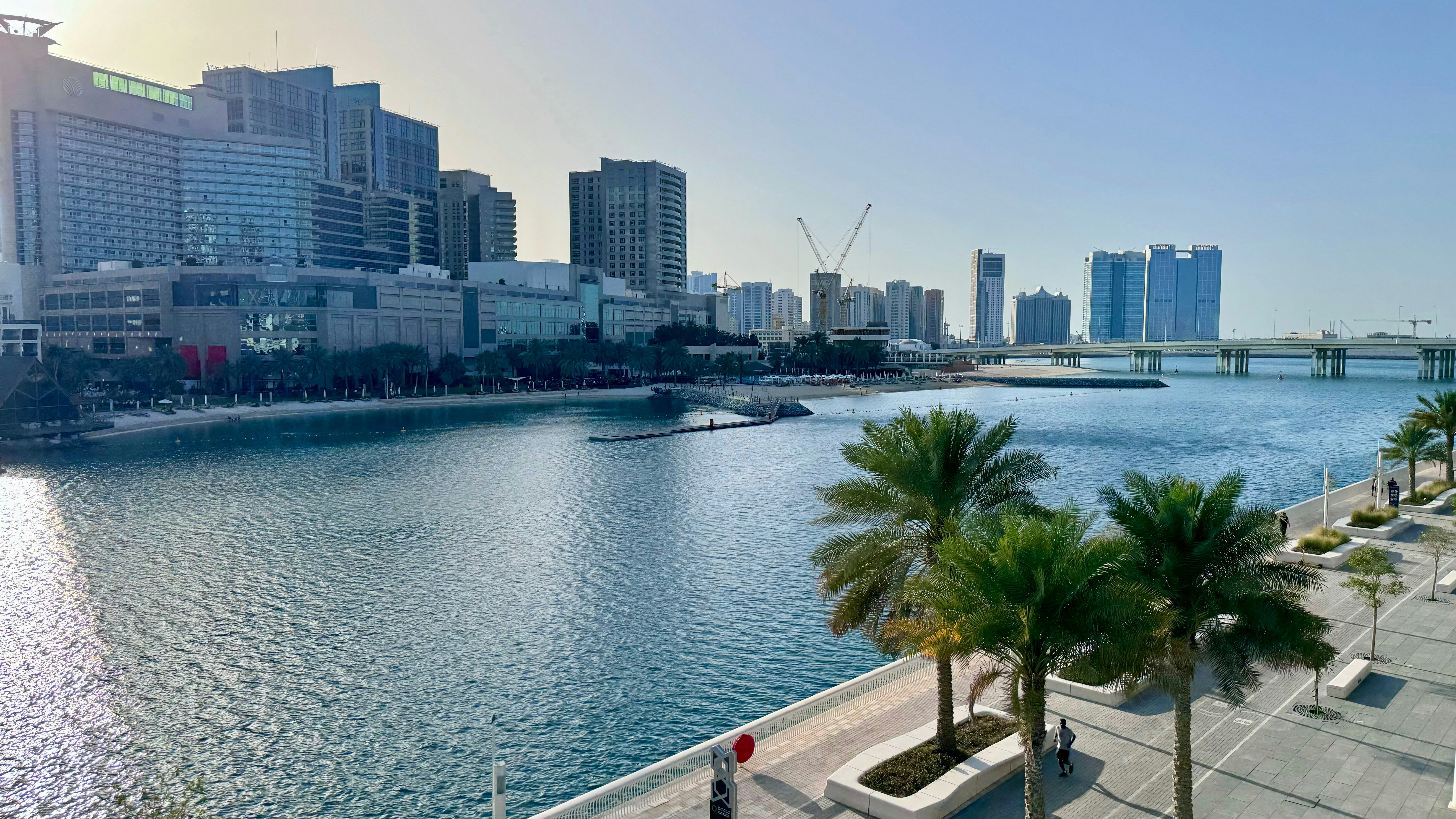 City skyline reflected in calm waterfront, framed by palm trees and modern architecture.