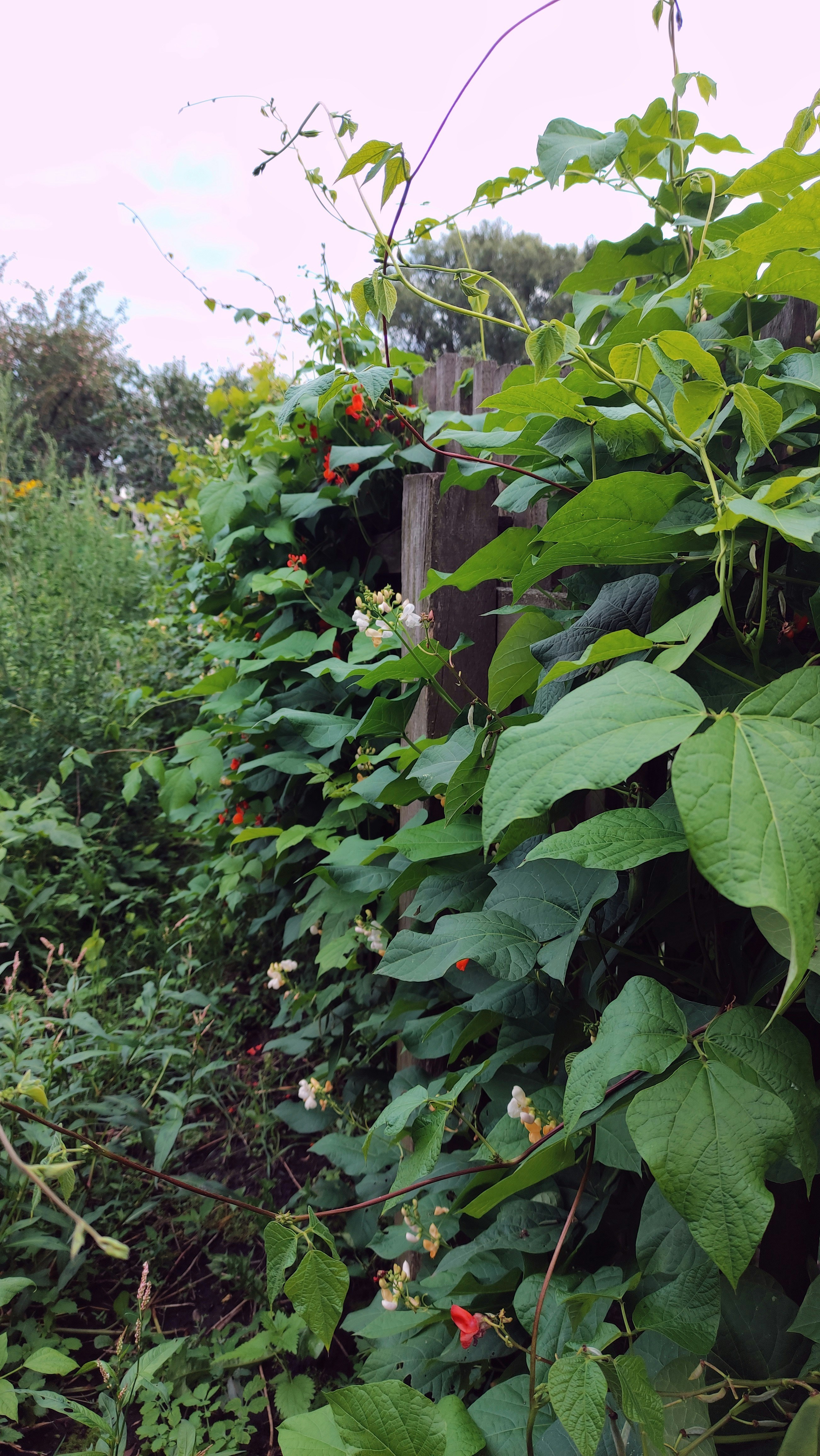 Дарія Шевченко (@ds_graphicdesign) | Comunidade de fotos da Unsplash