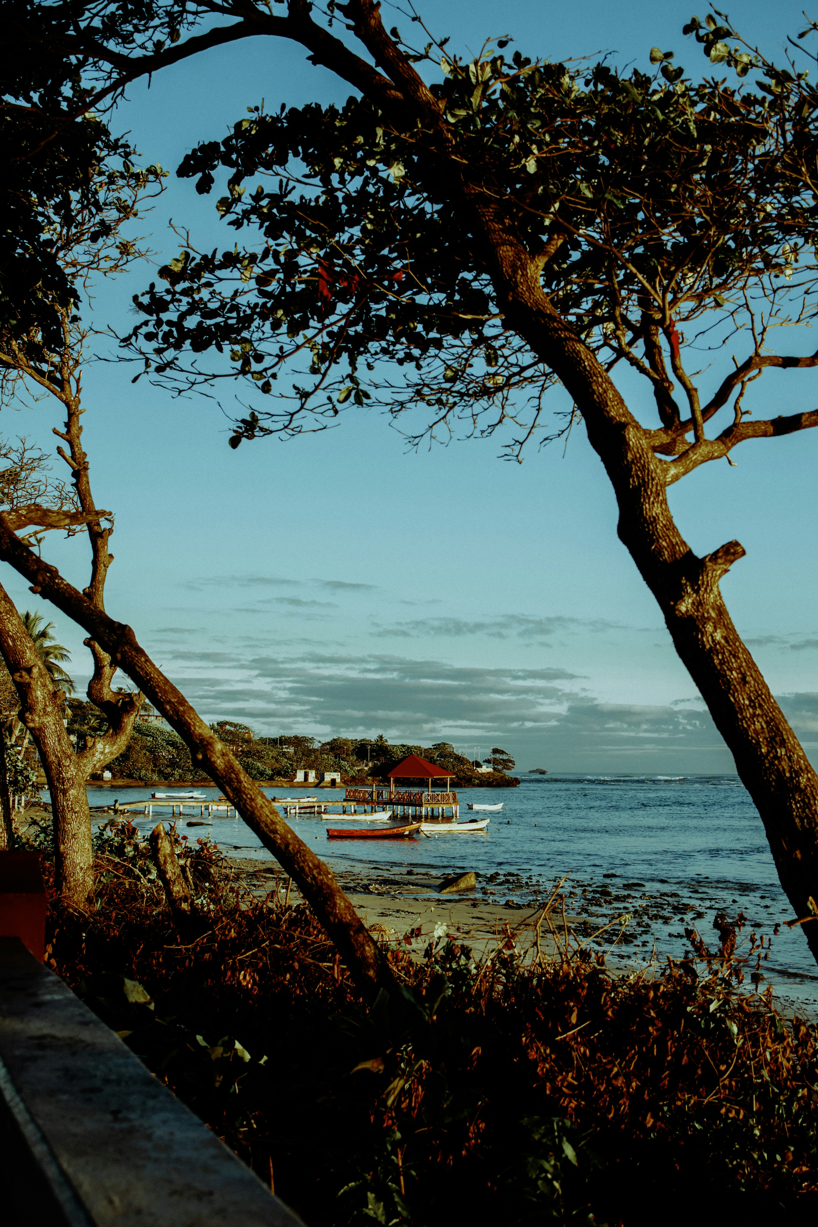 Tropical coastline with boats seen through leaning trees under a vibrant sky.