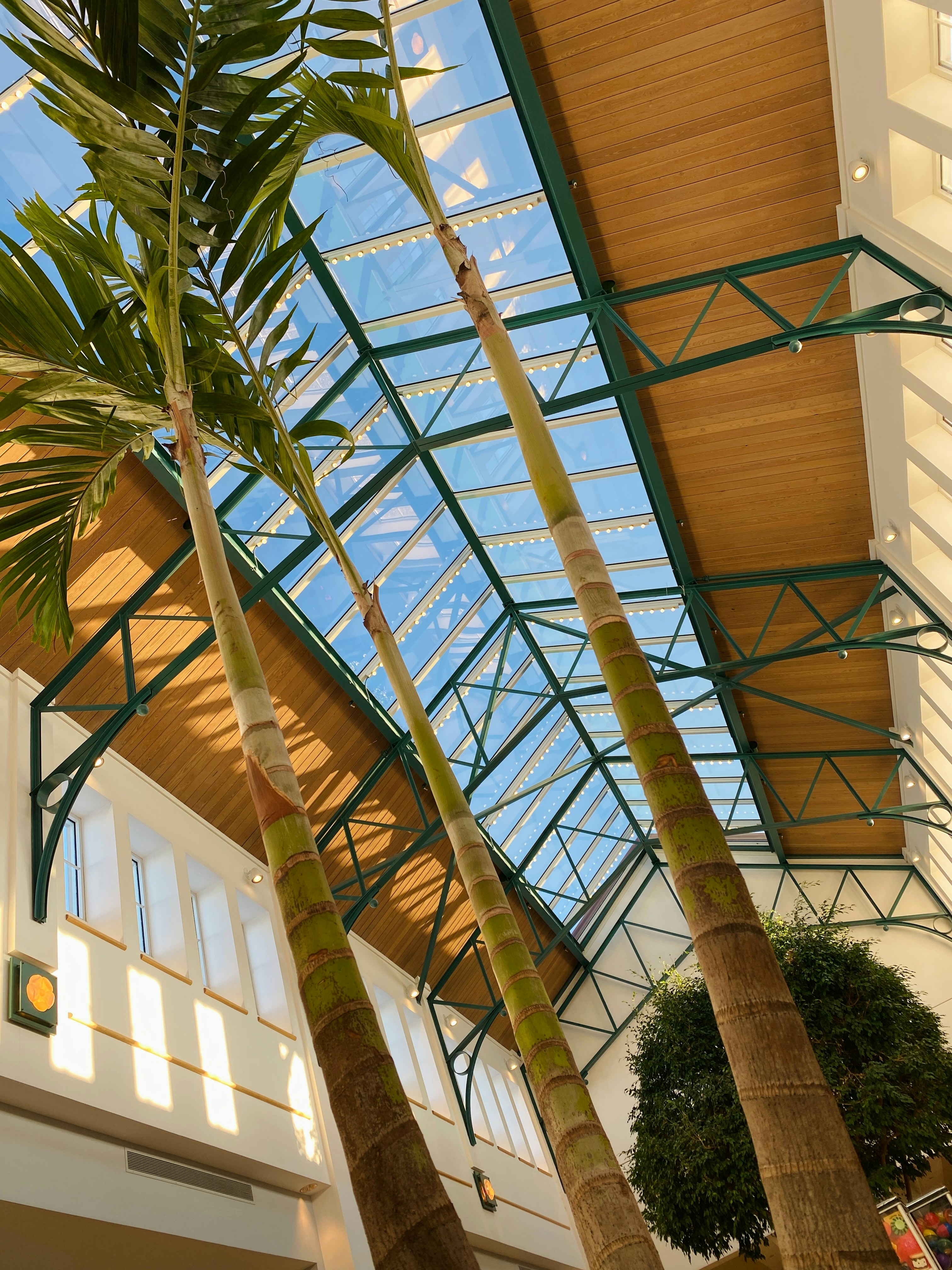 Palm Columns Under a Sky-Frame: An Atrium's Glass Cathedral