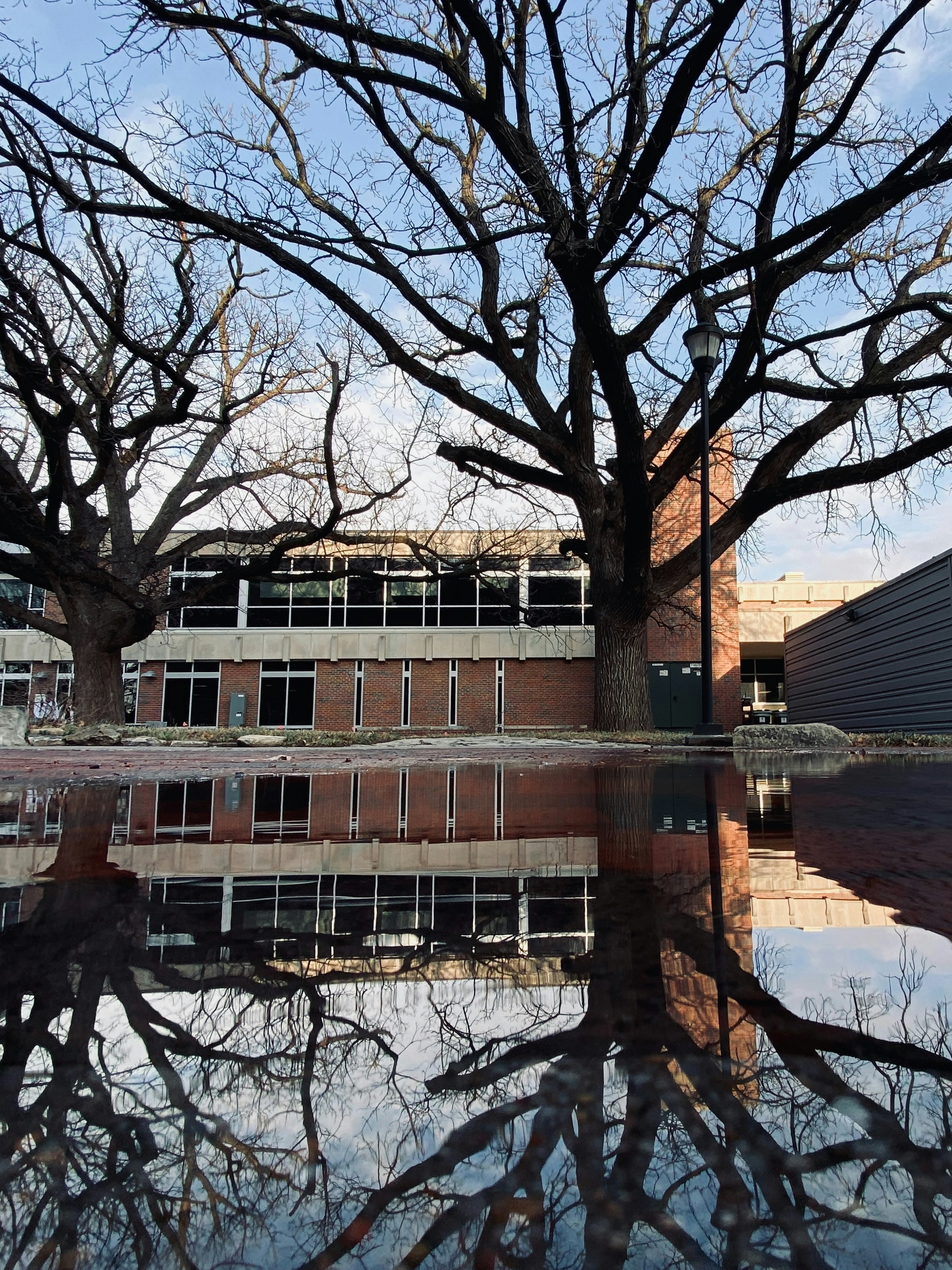 A building is reflected in a puddle of water photo – Free Building ...