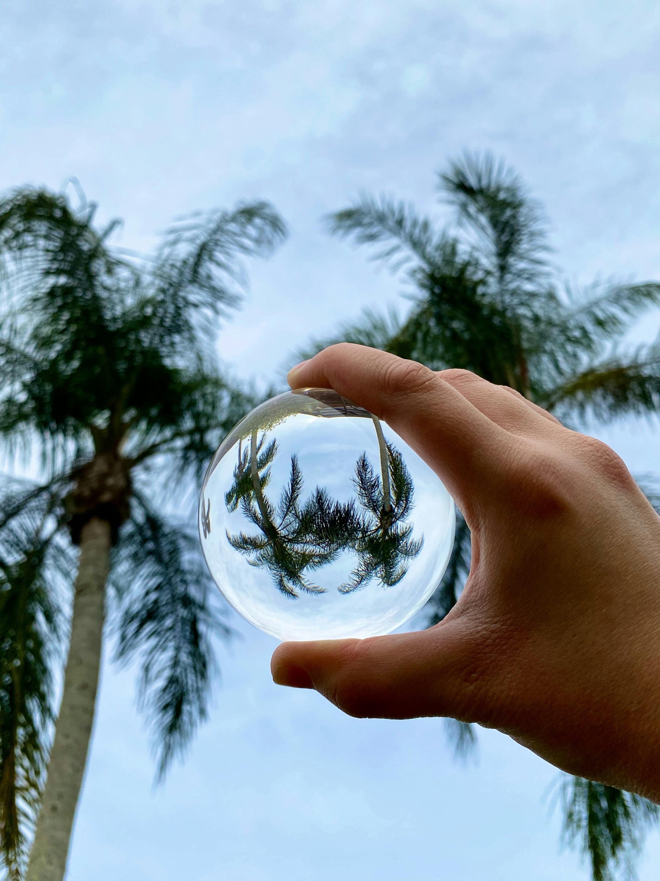 Crystal Sphere Framing: Palm, Sky, and Palms