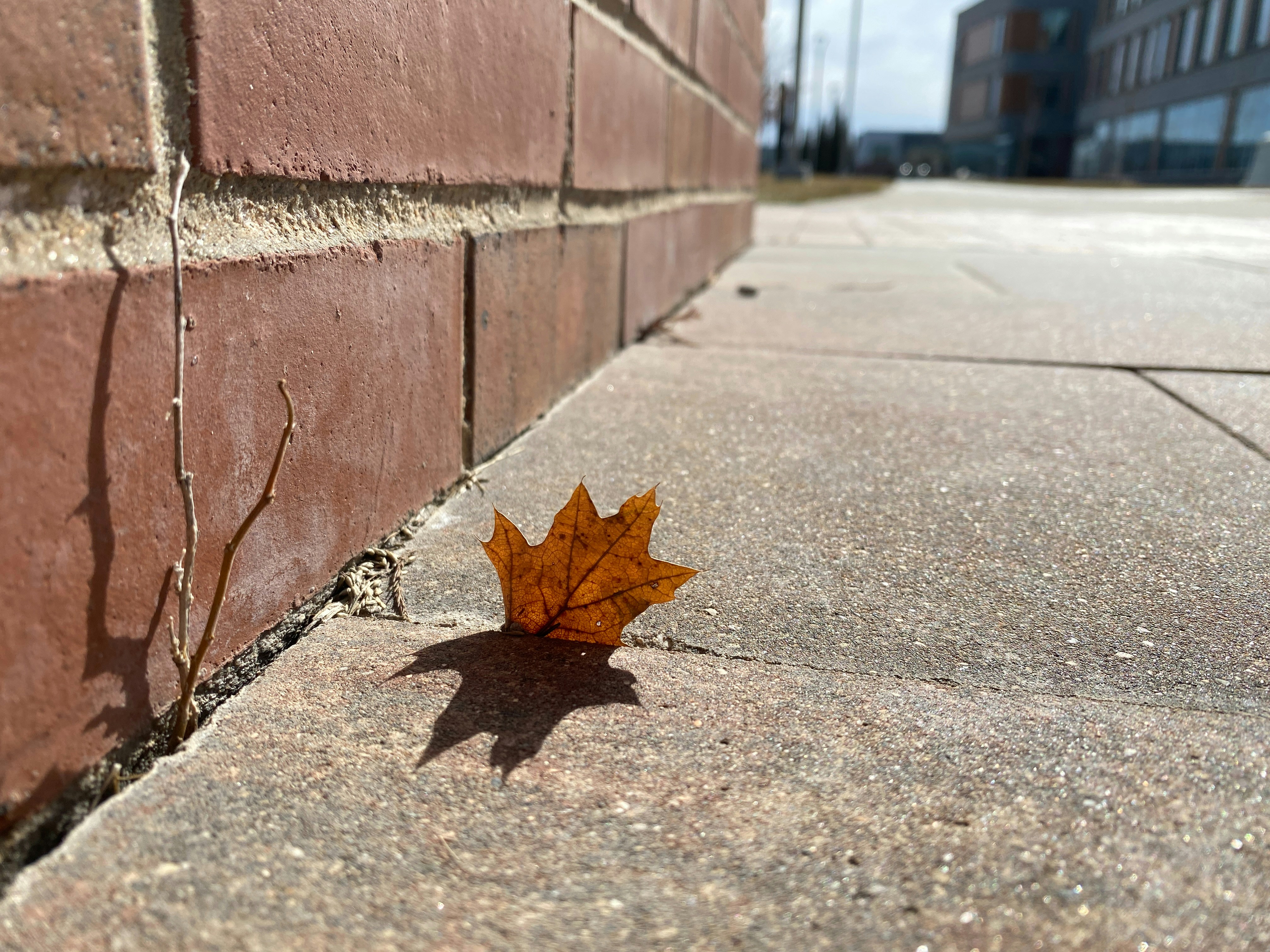 Photo by American Jael with Apple iPhone 11 Pro