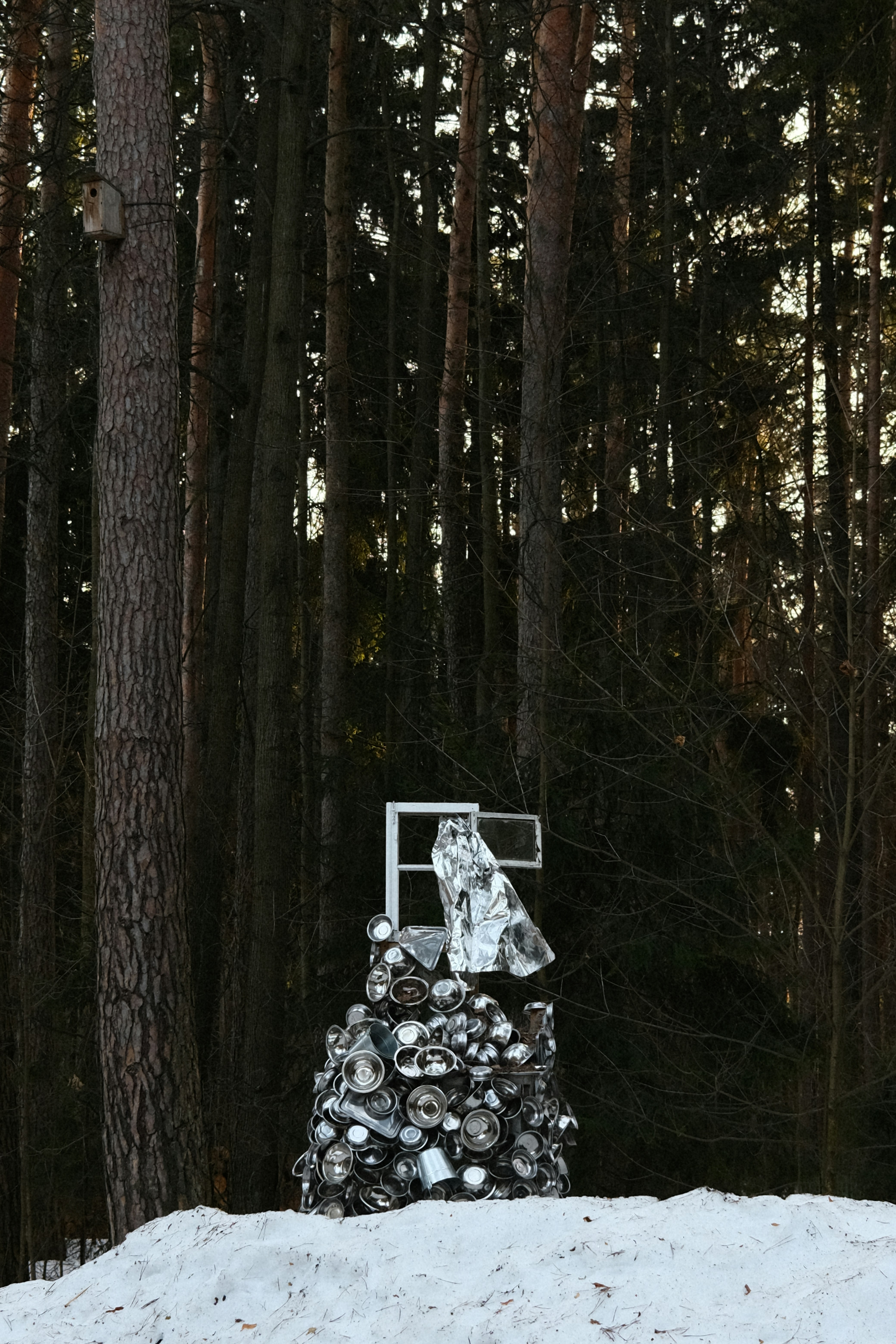 Cup-Stacked Obelisk in Winter Pines