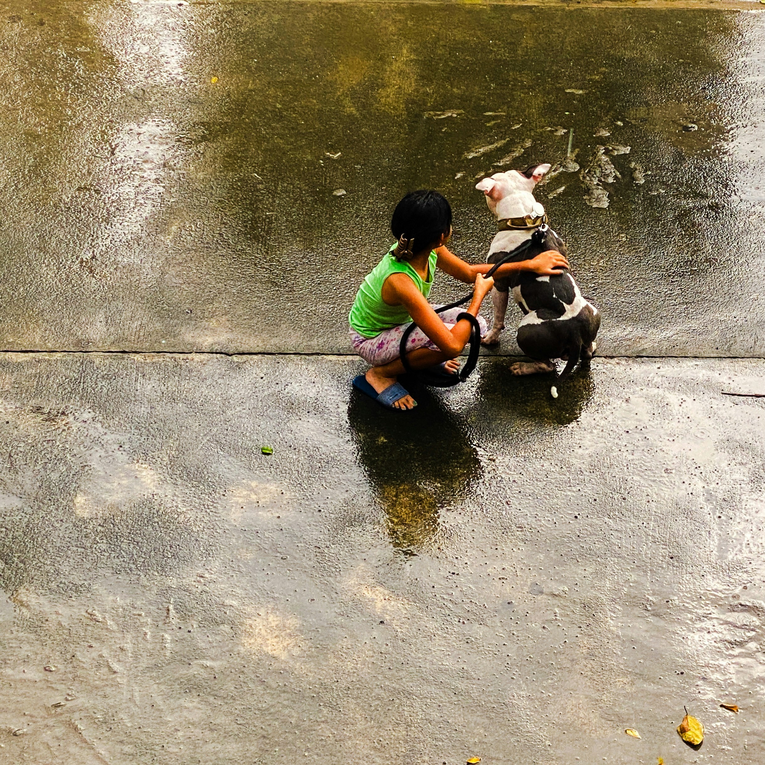 Rain-Kissed Pause: a child and dog share a gentle moment on a rain-slick curb