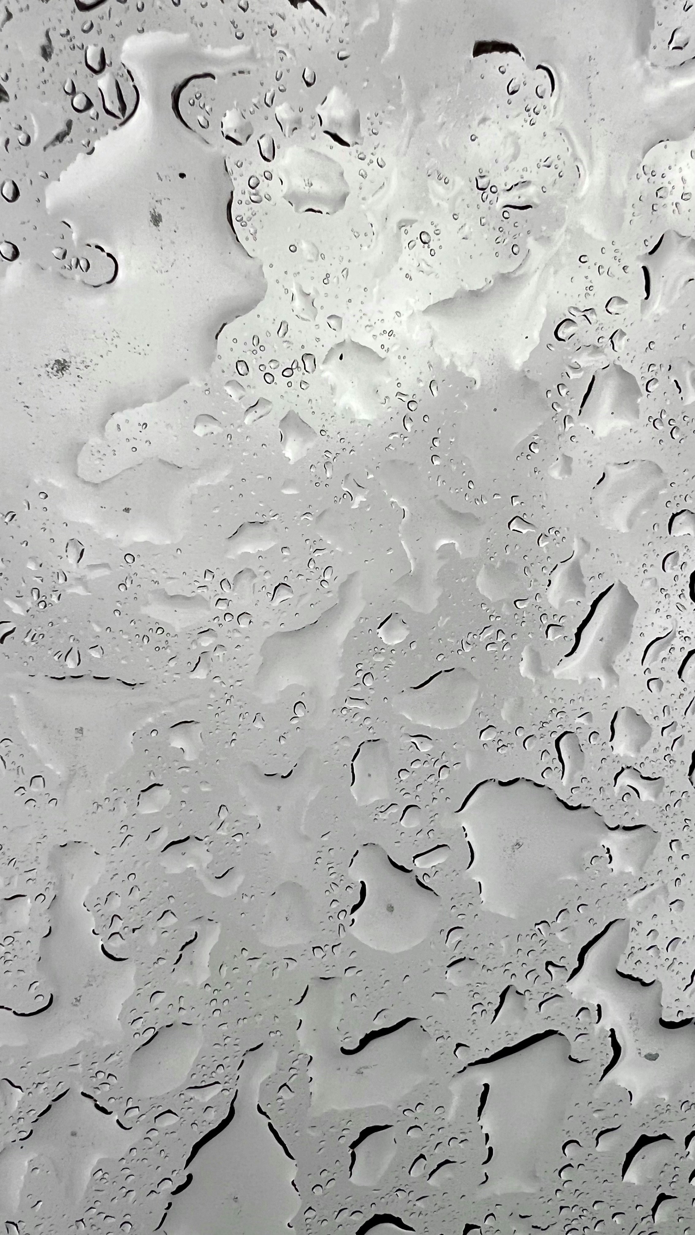 Olga Russkikh (@olga_russkikh) | Komunitas Foto Unsplash