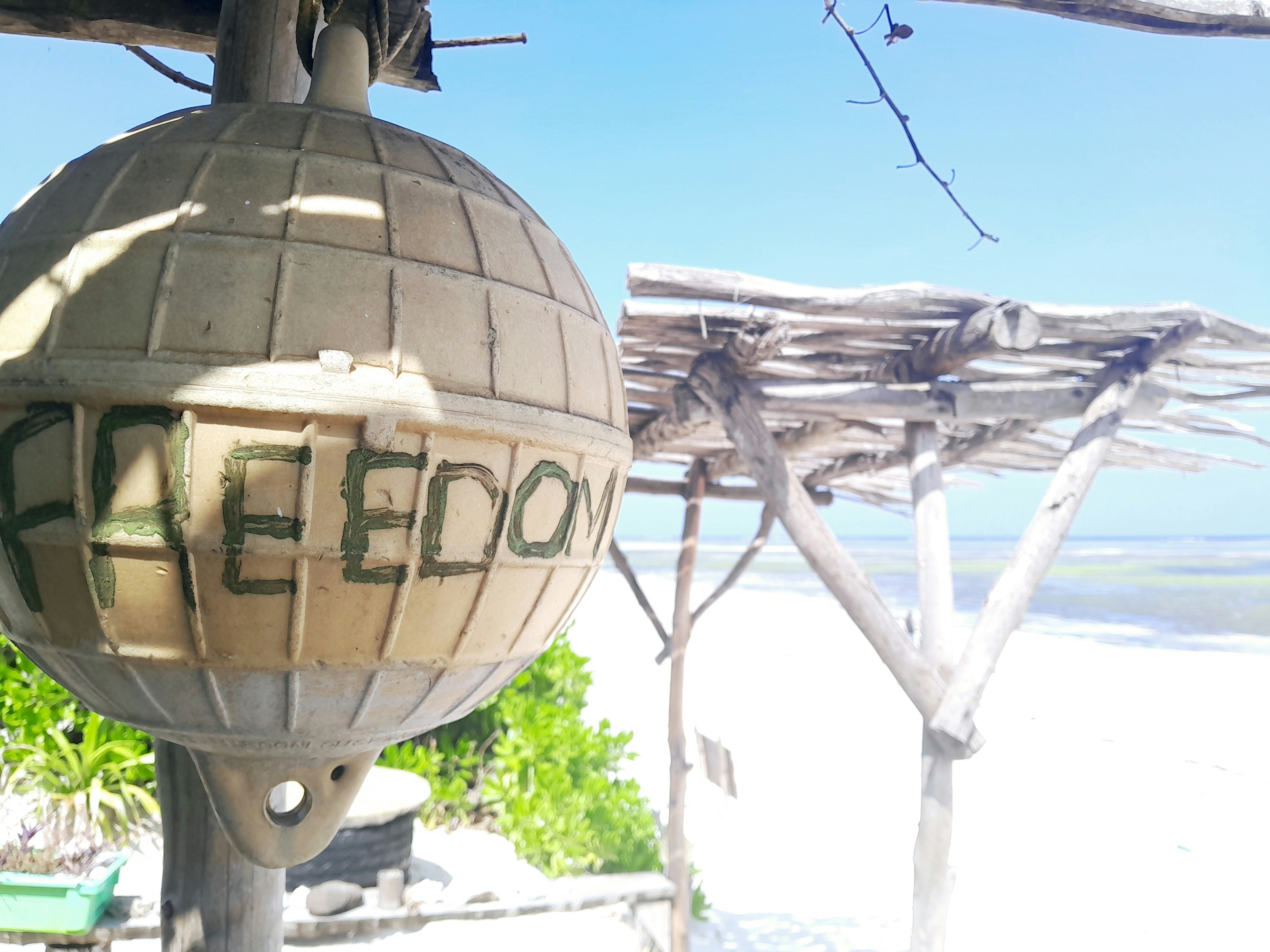 Sample photo from Samsung Galaxy A14