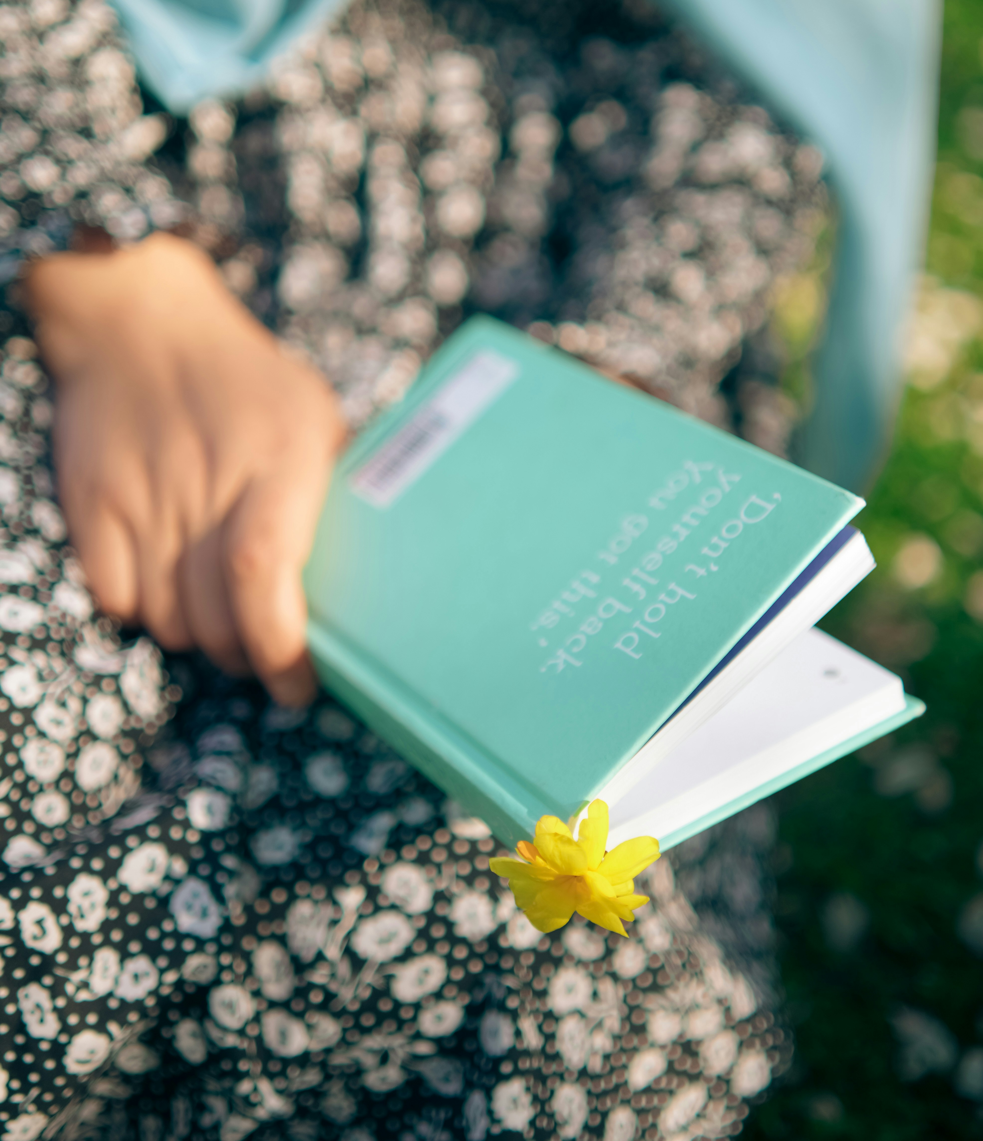 Whispers of Reflection: A Moment with Nature and Literature