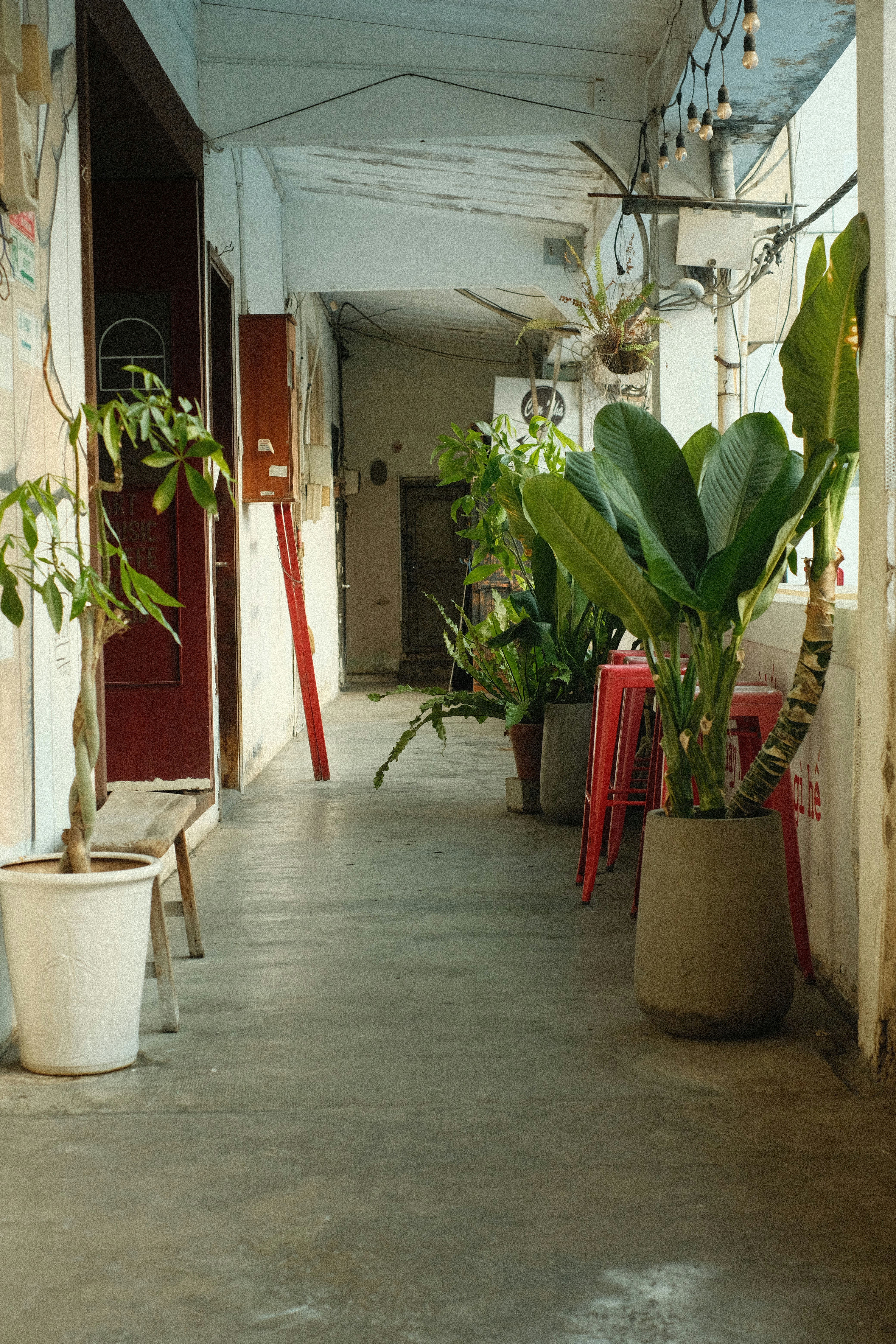 Verdant Corridor: A Sunlit Indoor Alley Framed by Foliage and Red Stools