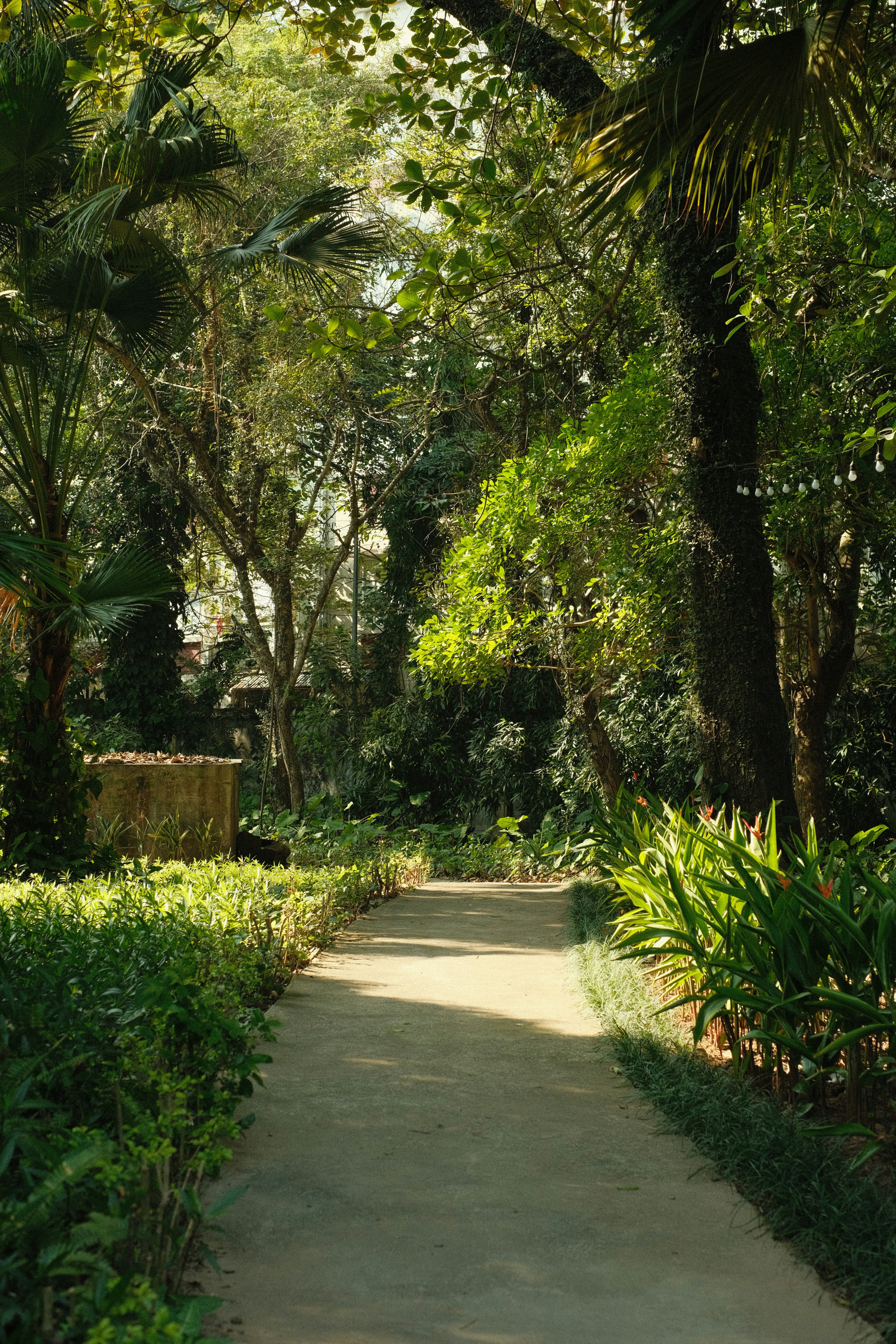 Photo by Khanh Do with Fujifilm X-T30