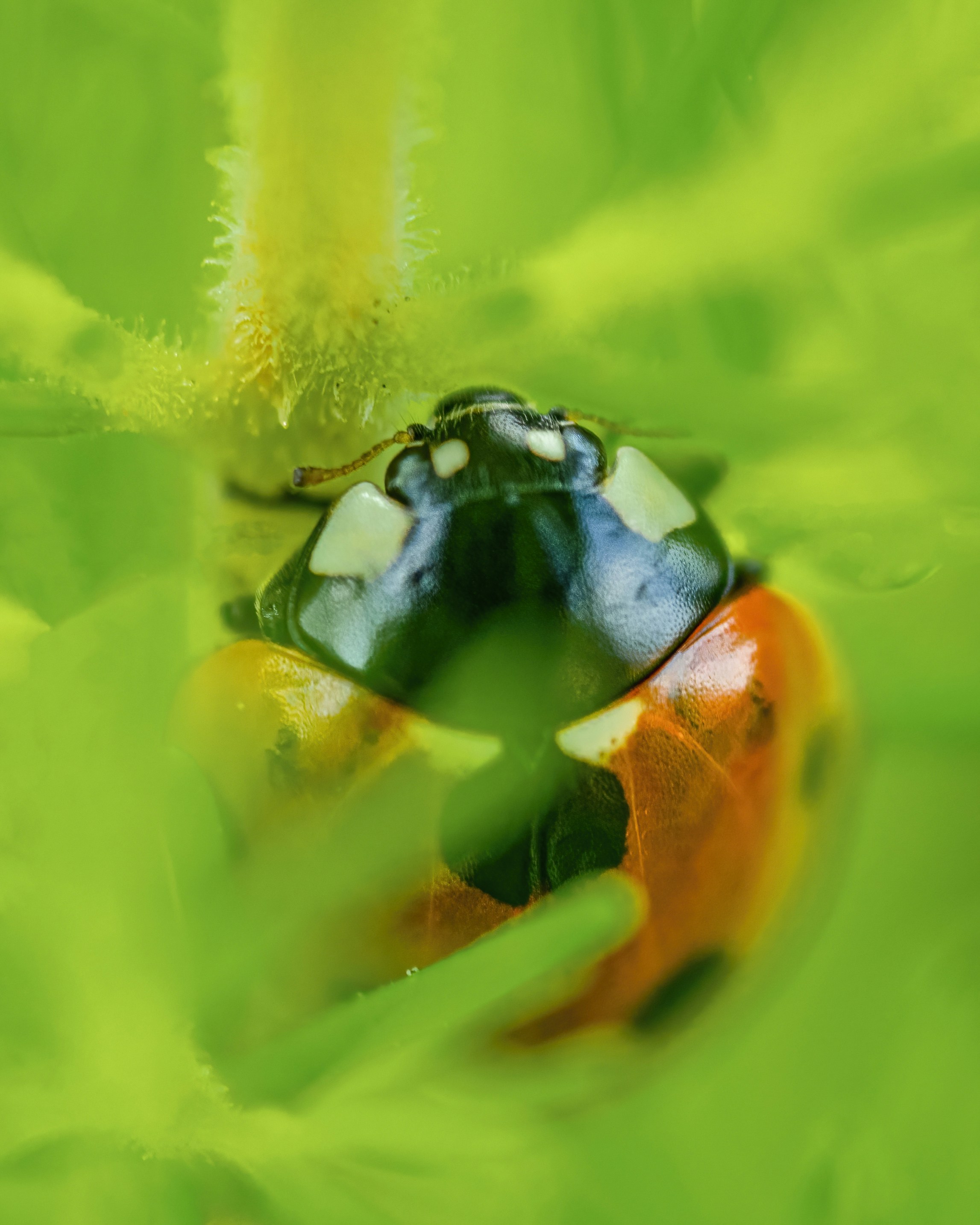 Photo by Marian Florinel Condruz with OM System OM-1