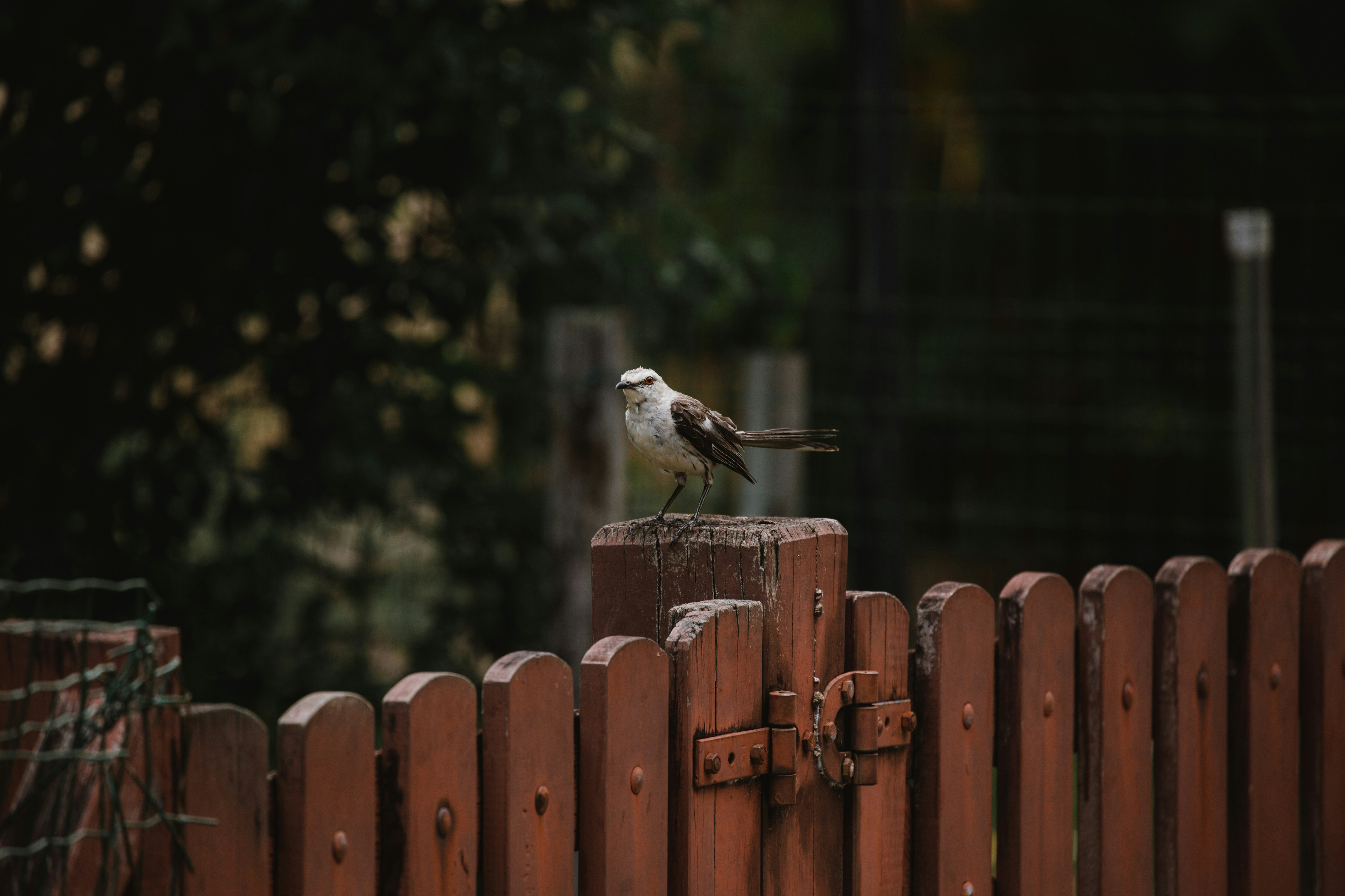 Photo by Adriano PATERNOSTRO with Canon EOS 5D Mark III